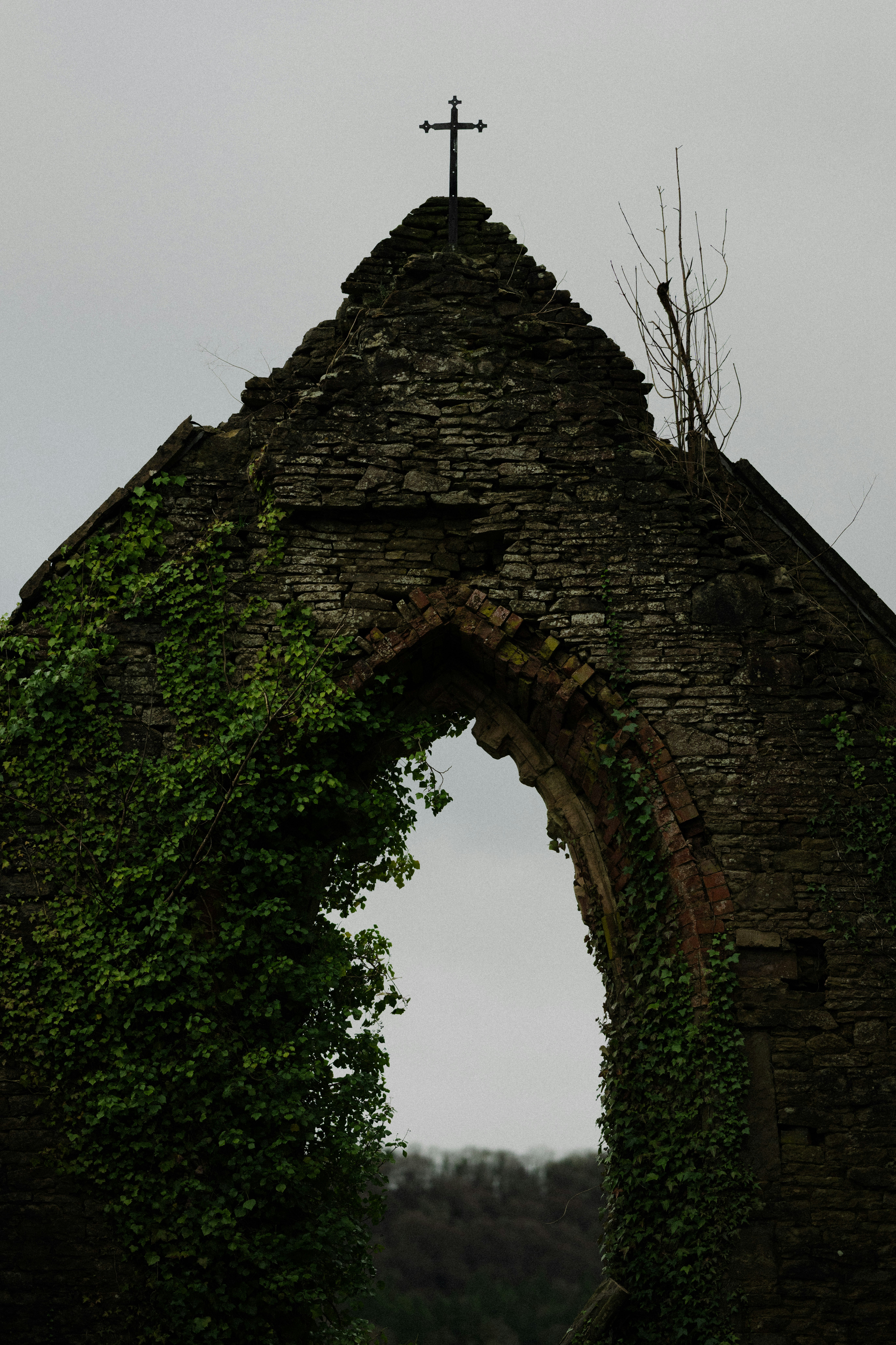 Ruined Archway Reclaimed by Ivy Under a Leaden Sky