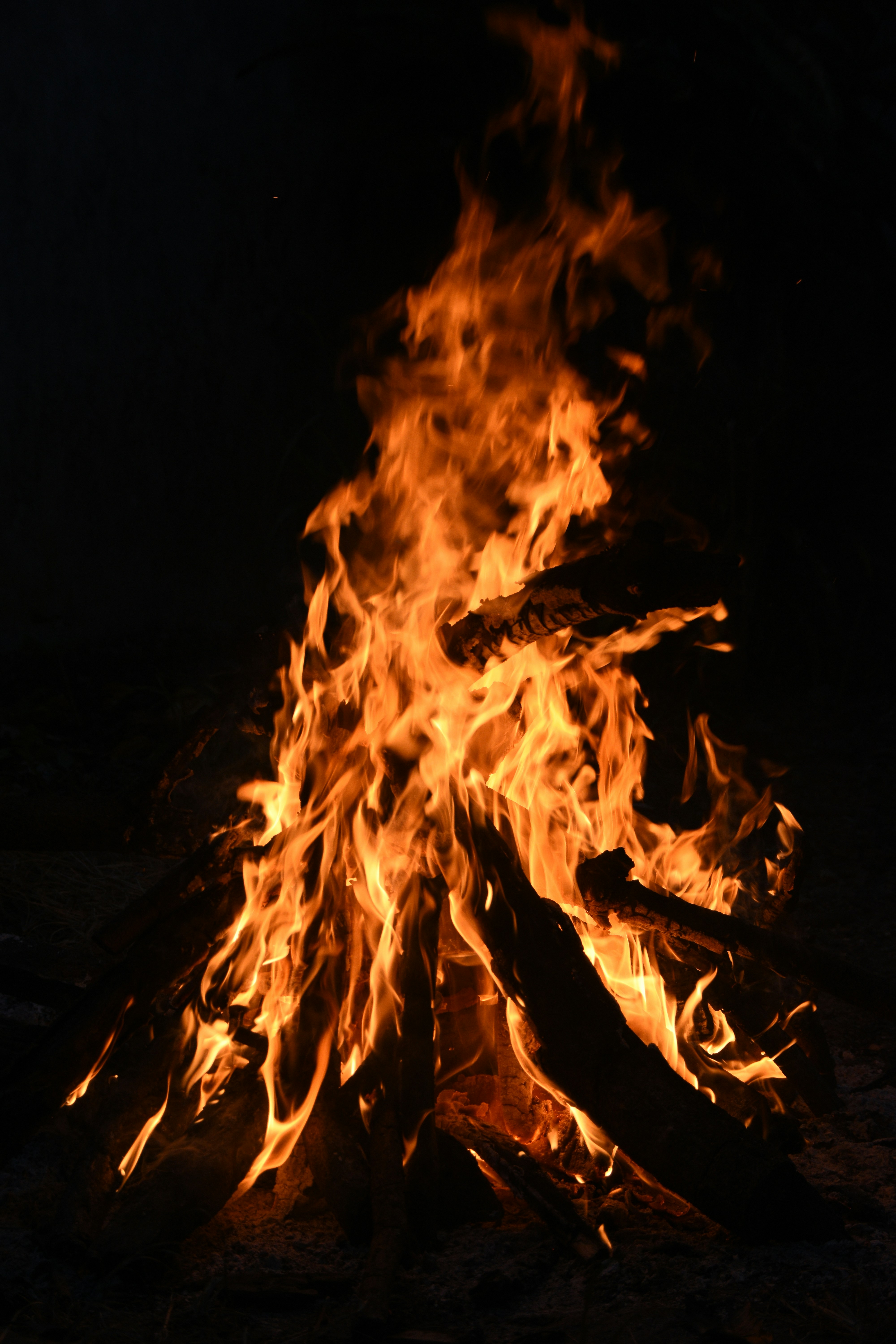 Embers and Logs: A Converging Campfire Silhouette