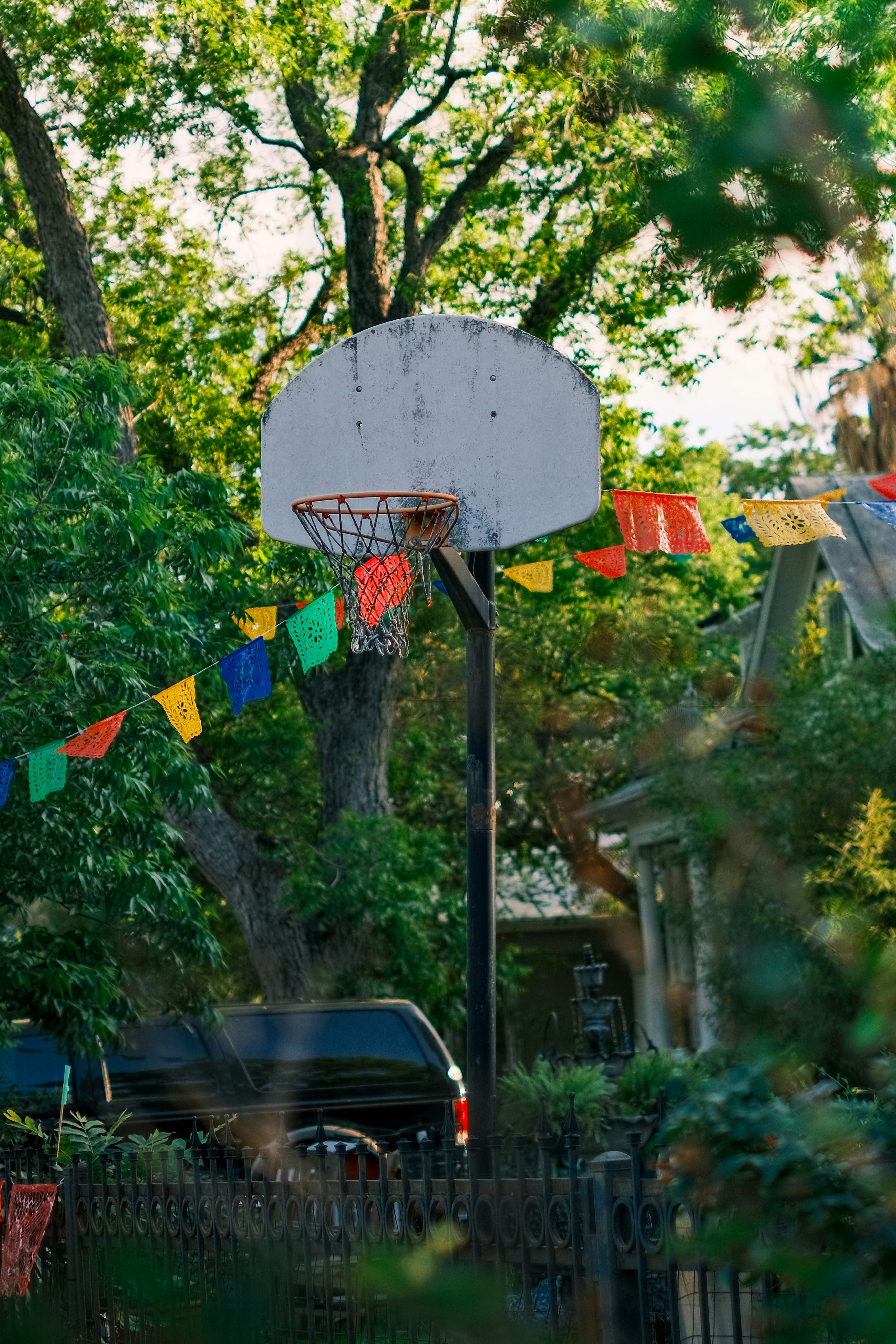 Basketball Hoop in a Colorful Outdoor Yard