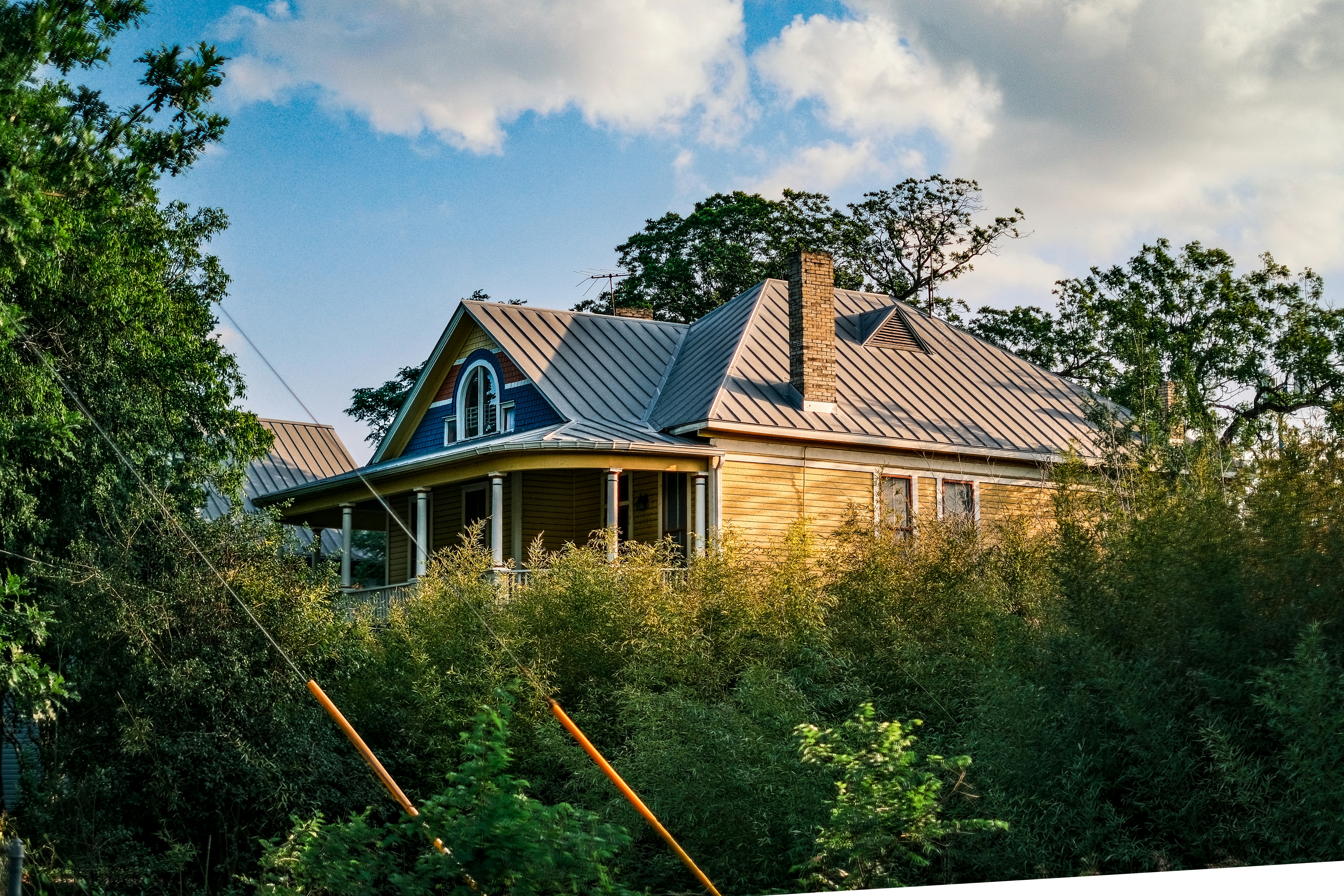Overgrown Cottage Crest: A Rustic House Emerging Through Greenery