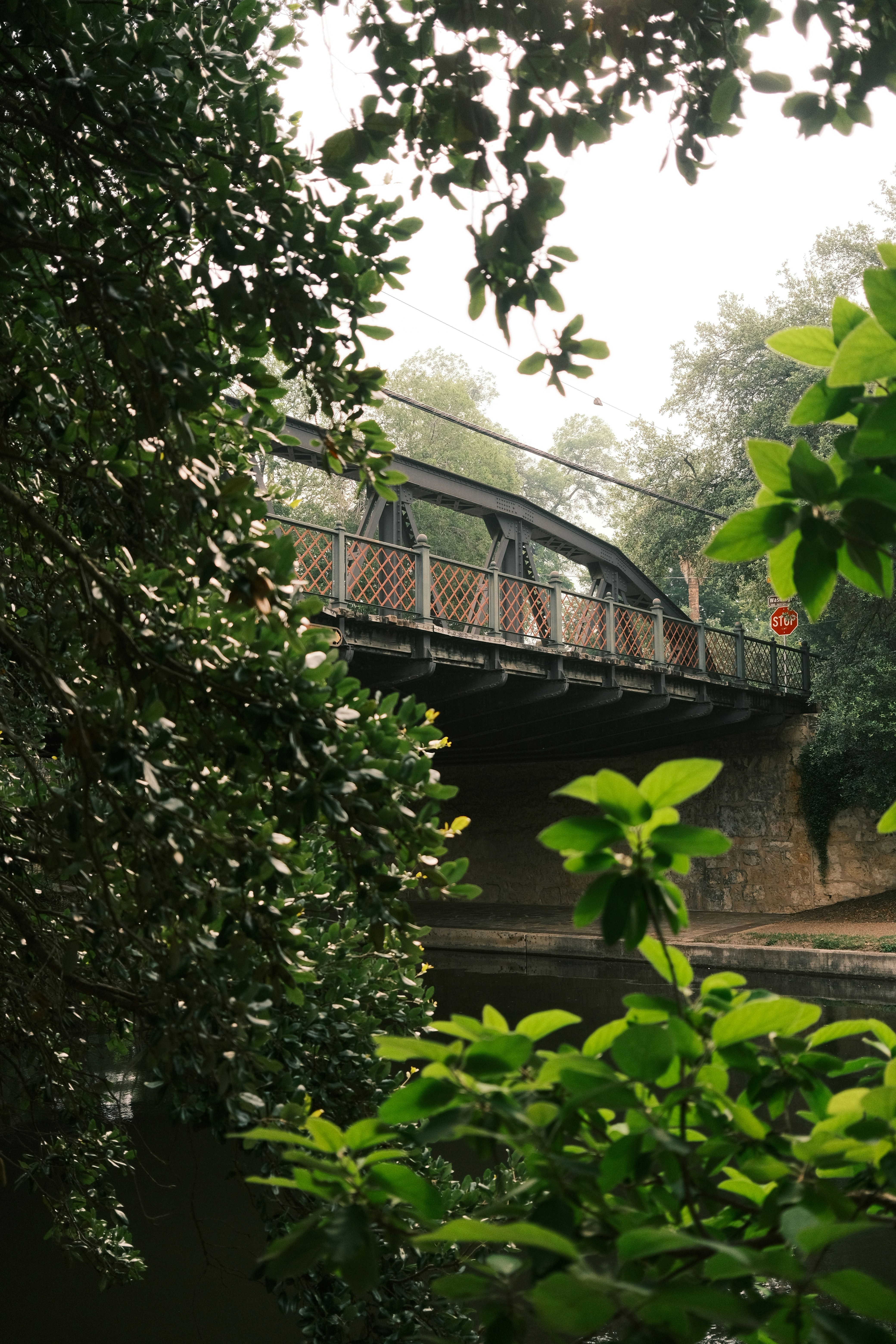 Bridge Over a Quiet Canal Framed by Greenery