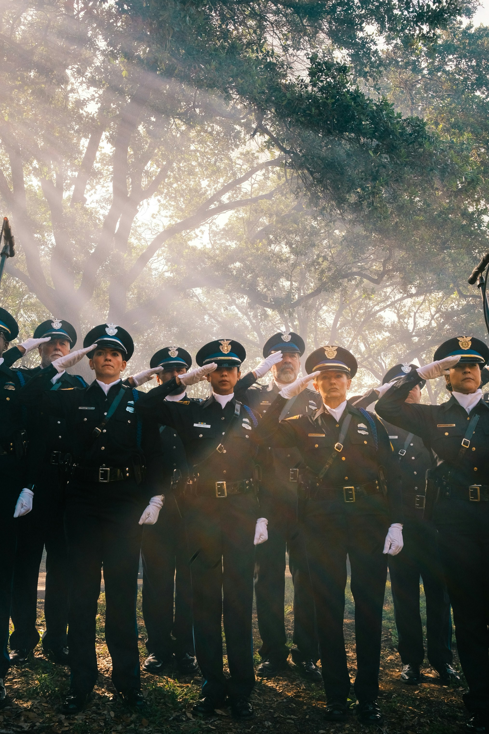 Row of Uniformed Salute: A Cohesive Moment Under Dappled Light
