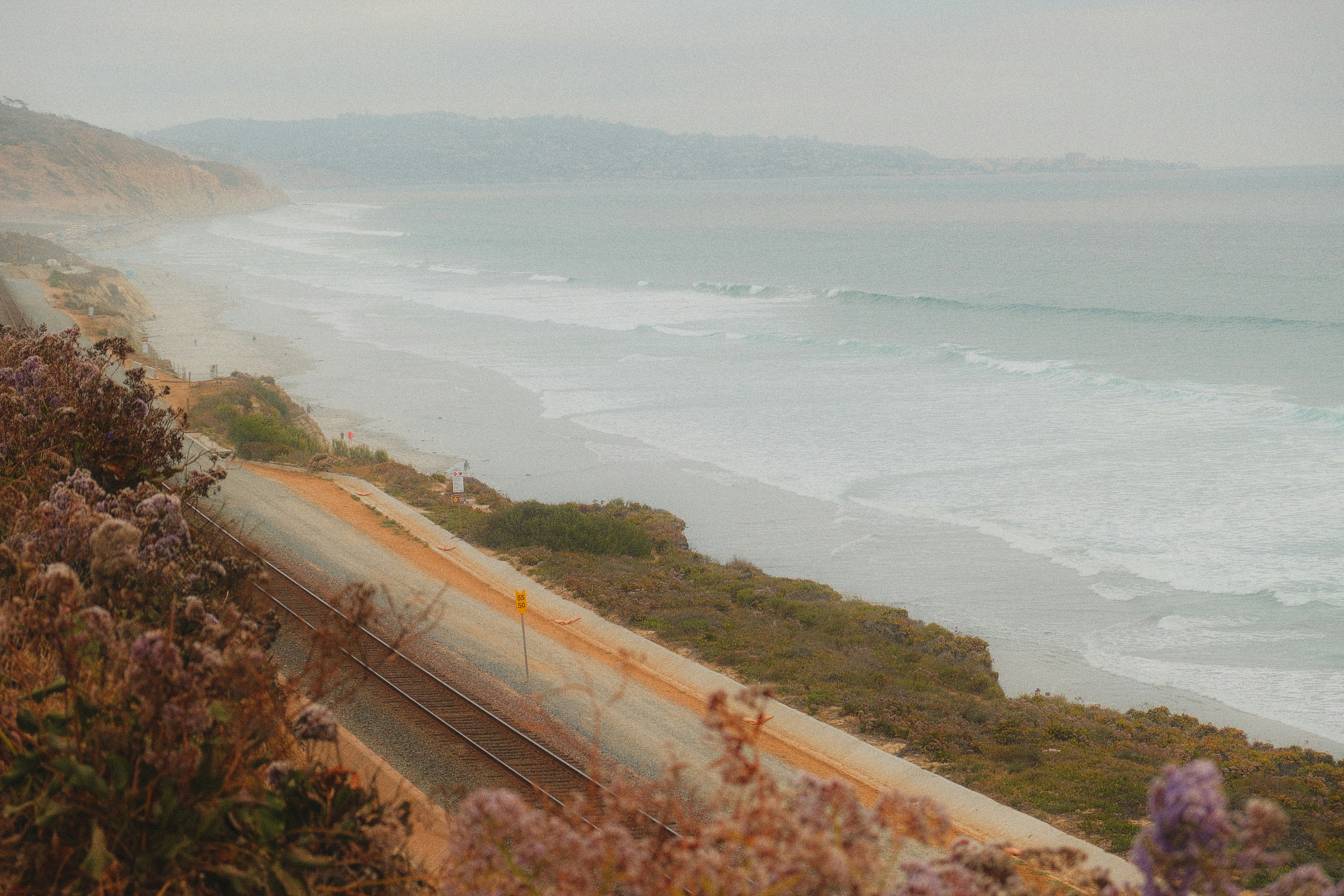 Coastal Railbed Framed by Coastal Foliage