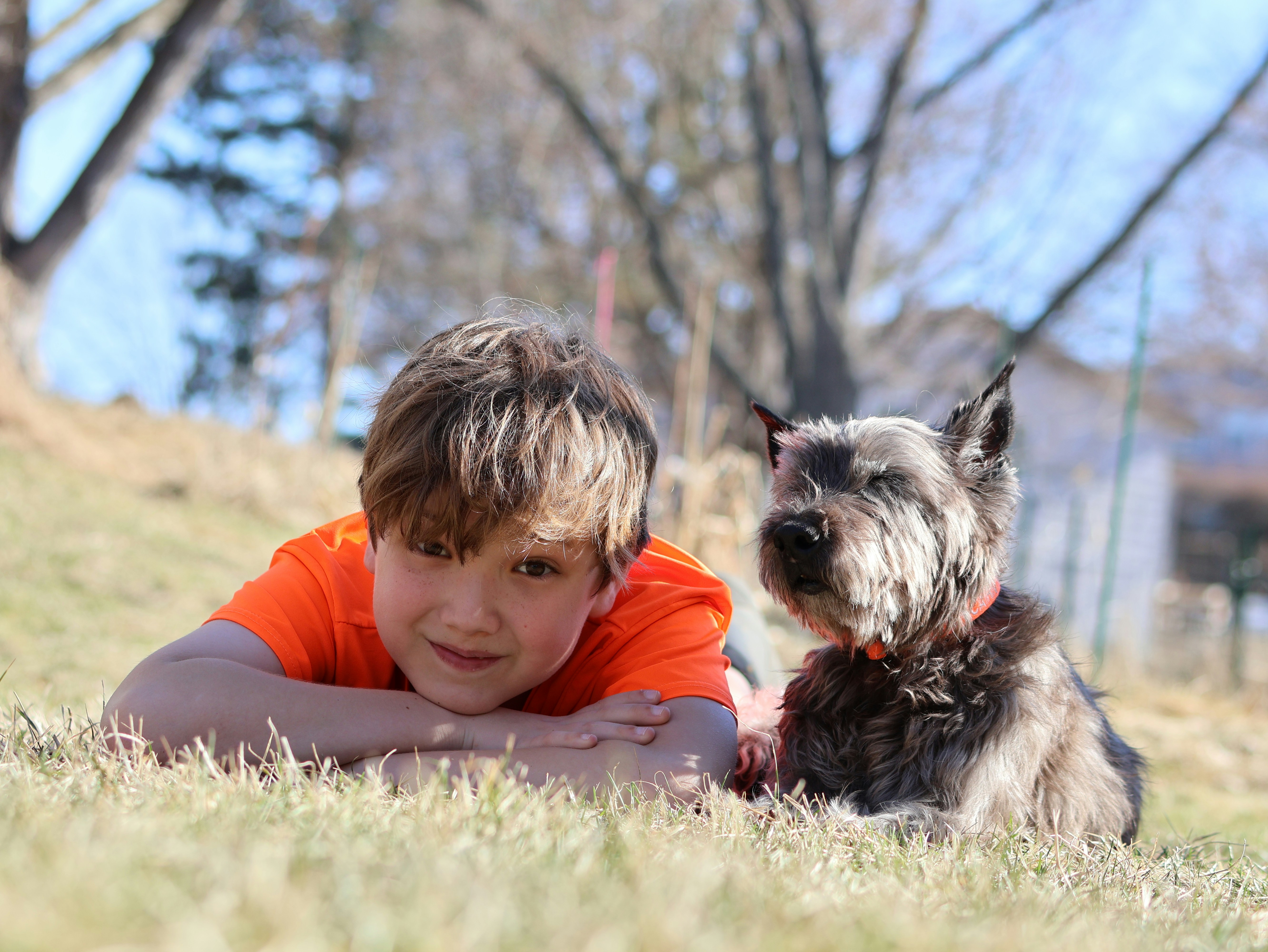 Laughter in the Park: Boy and Scruffy Companion
