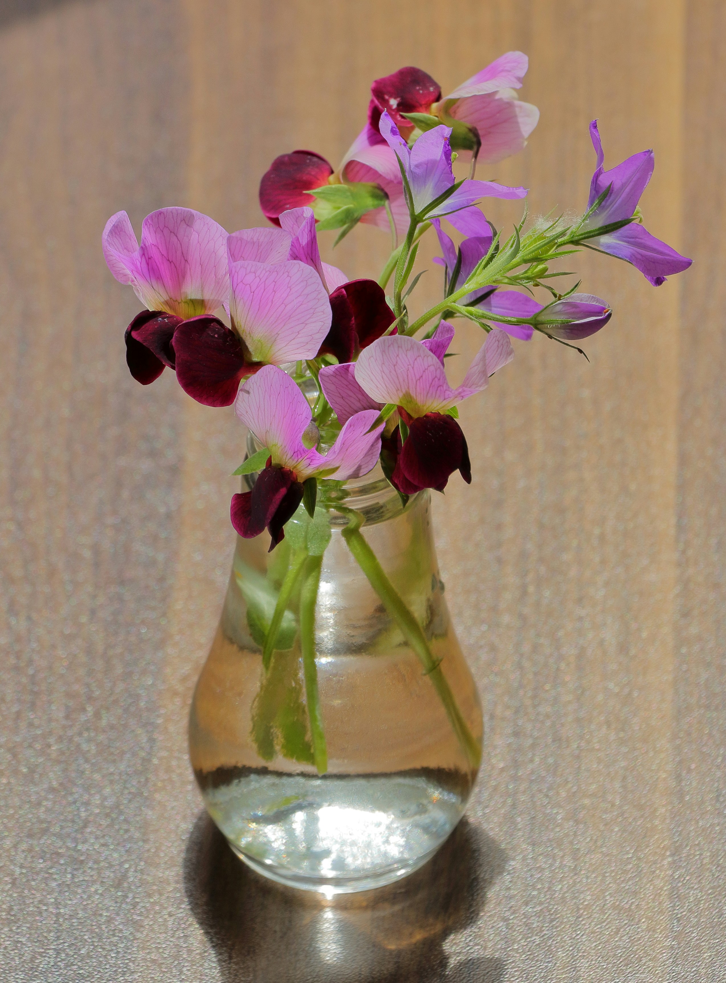 Violet Bouquet in a Glass Bottle: Delicate Petals and Soft Reflections