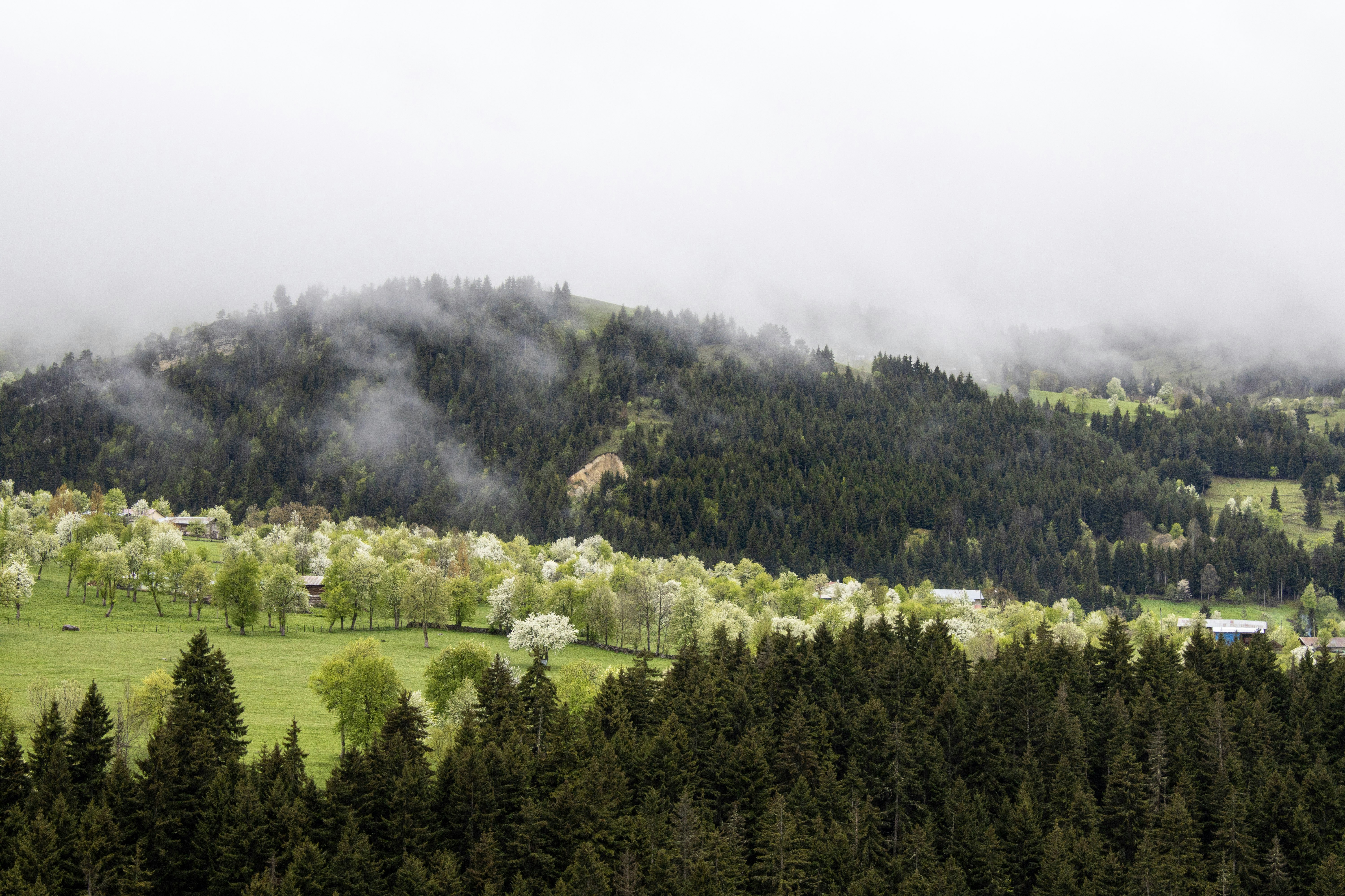 Misty mountain landscape with green forests and fields.