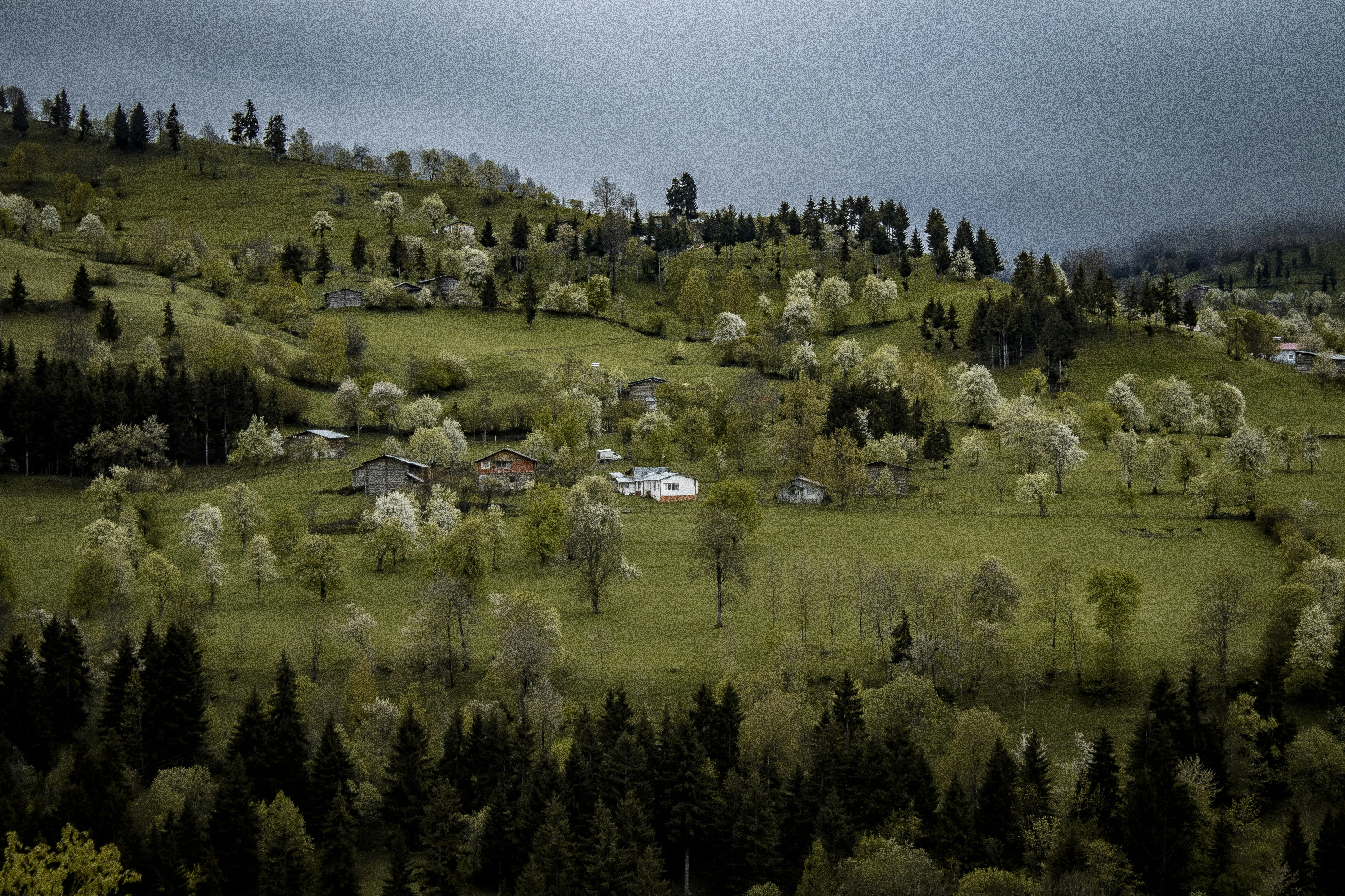 Village houses nestled in lush green hills with blooming trees.