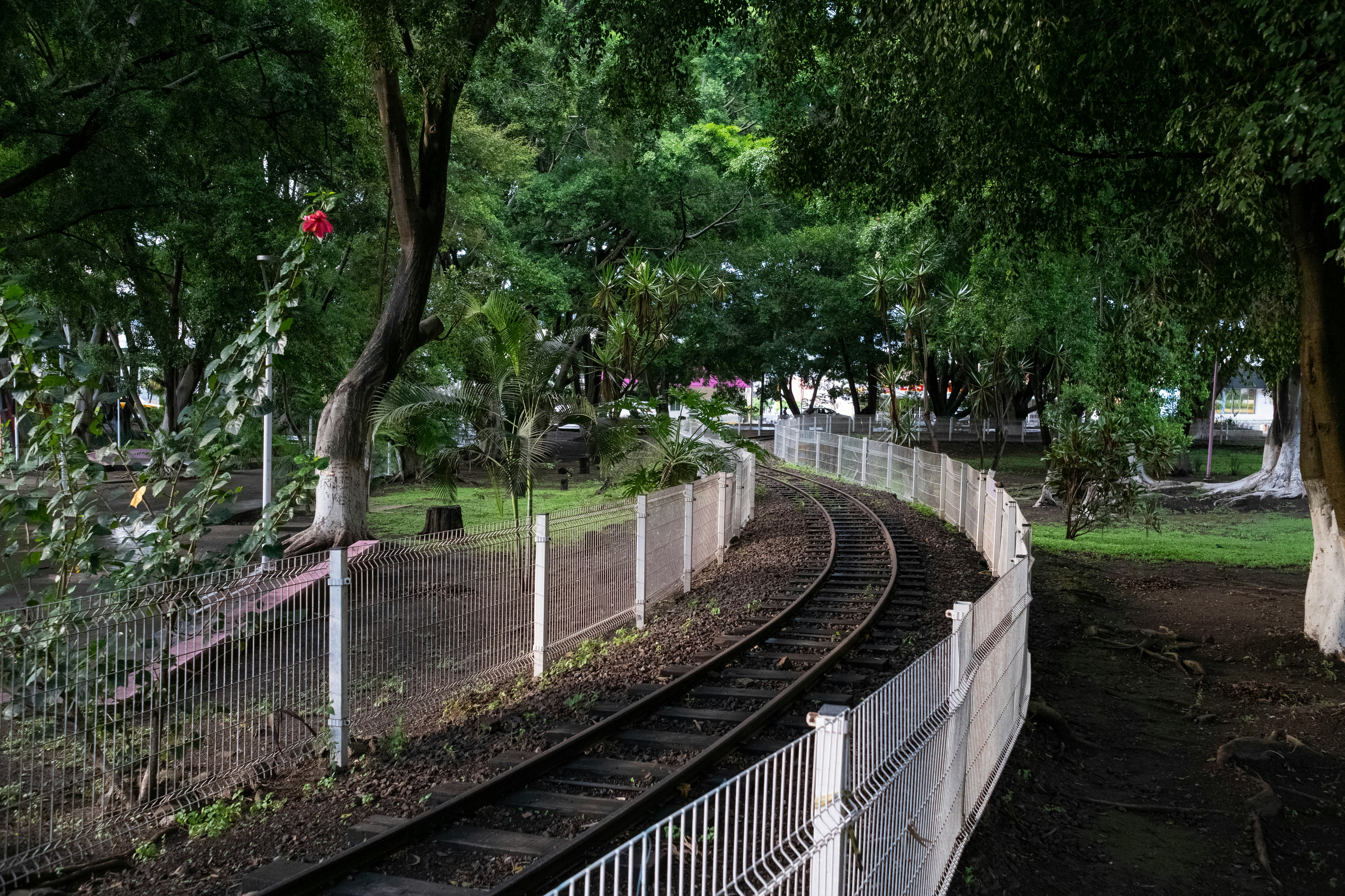 Curving Rails Through a Quiet Park Path