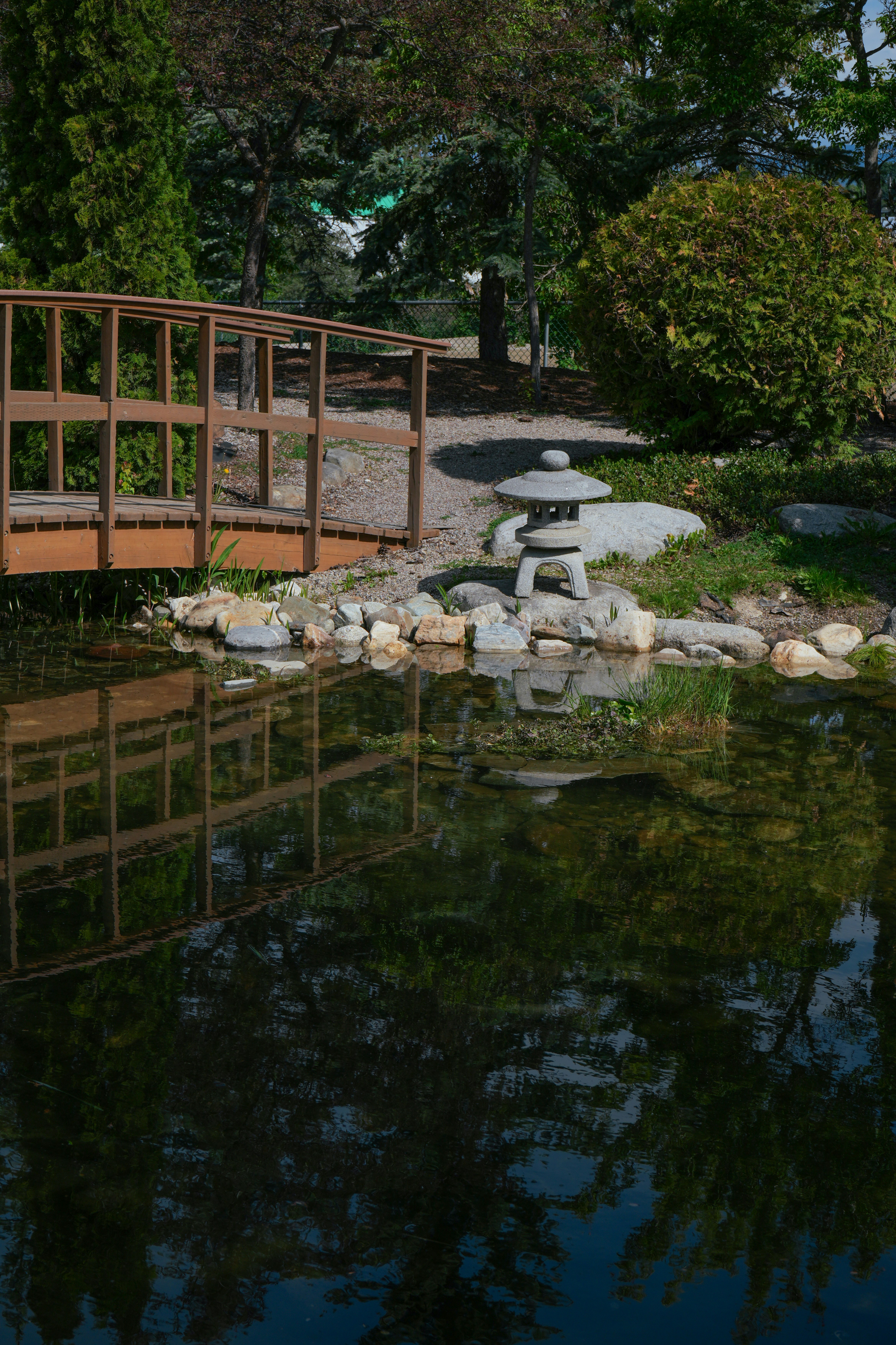 Bridge at the Edge of the Pond