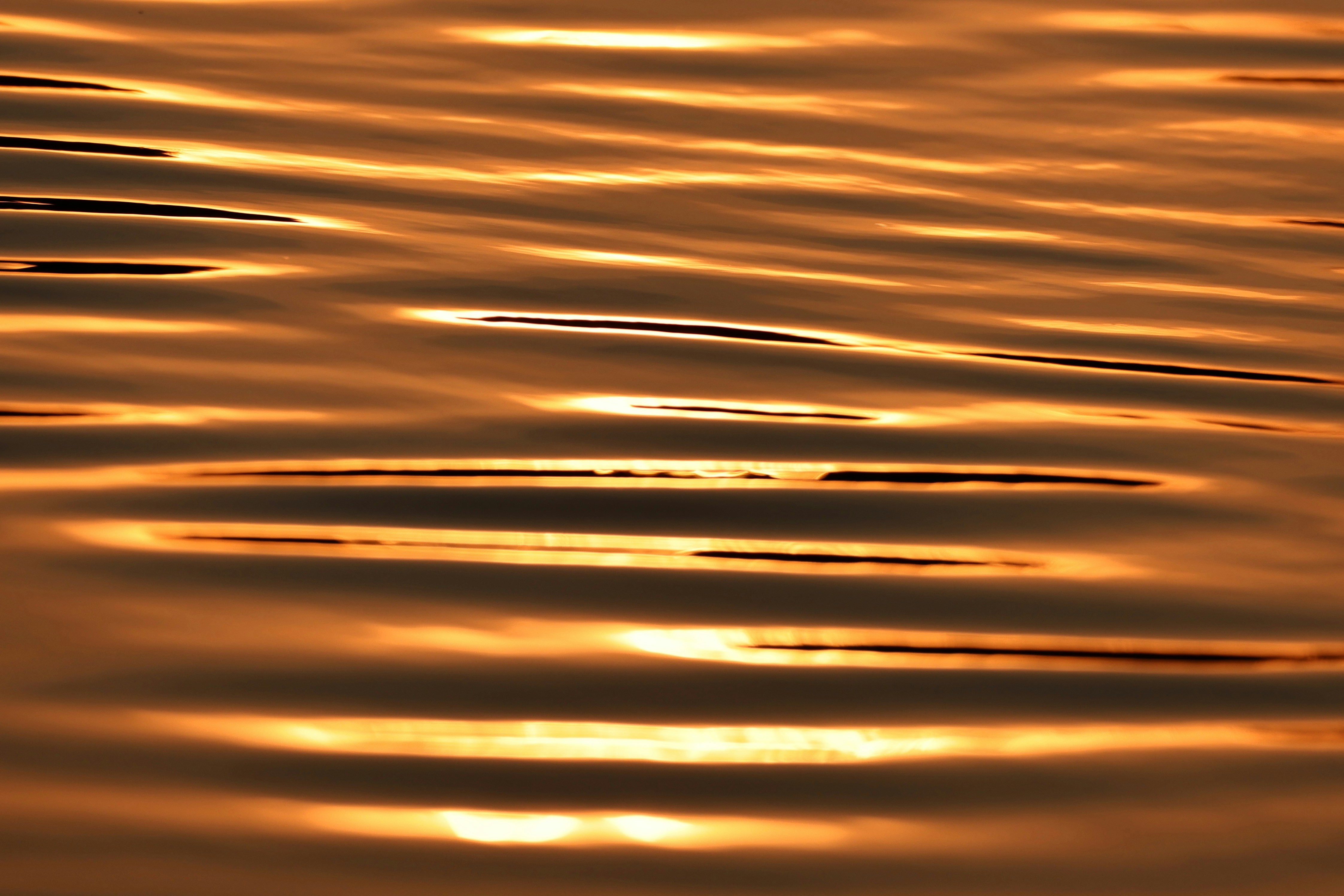Sunlit Ripples: A Quiet Moment on Glowing Water