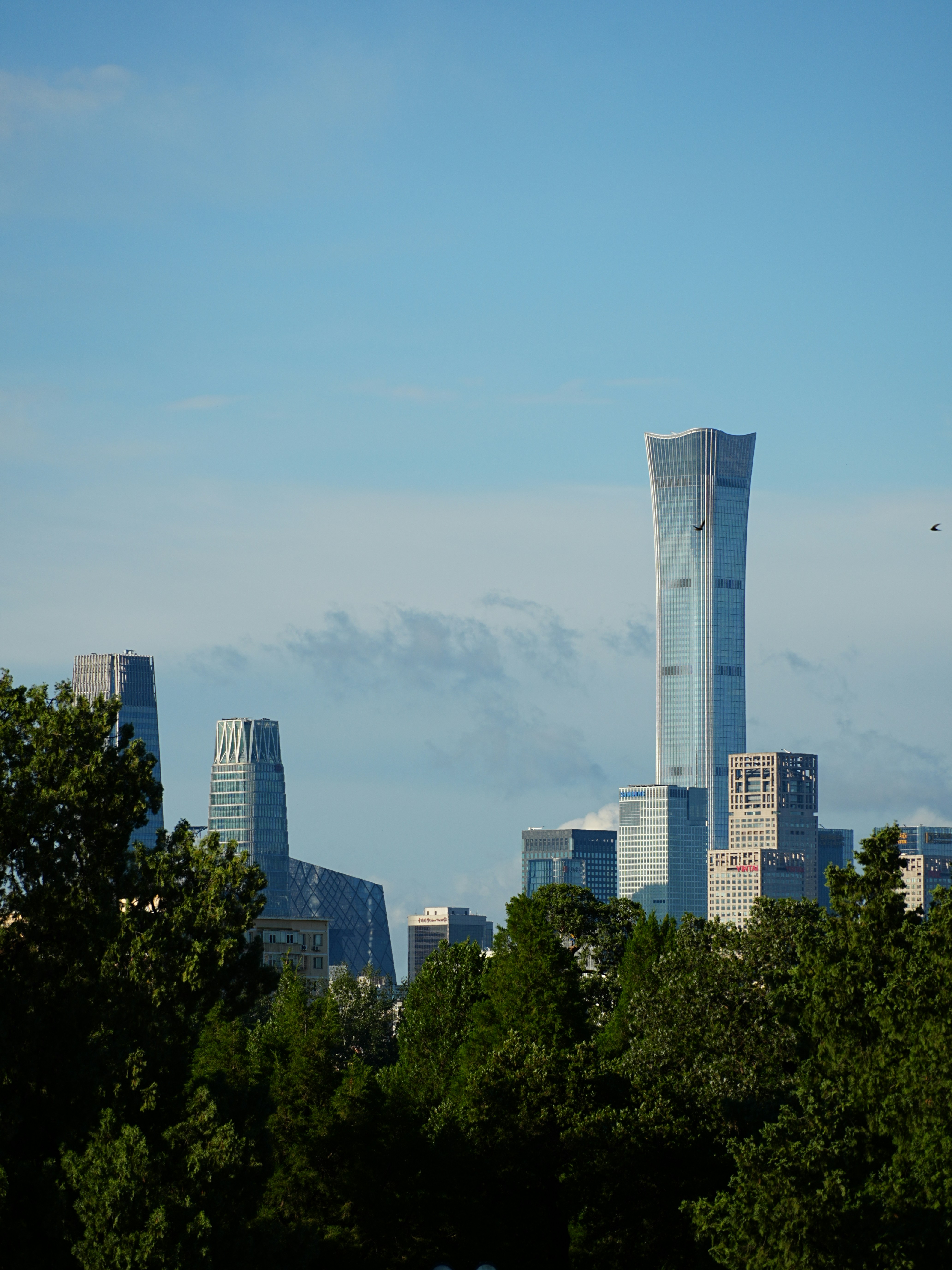Skyline Sentinel: The Tall Tower Rising Above the Greenwood