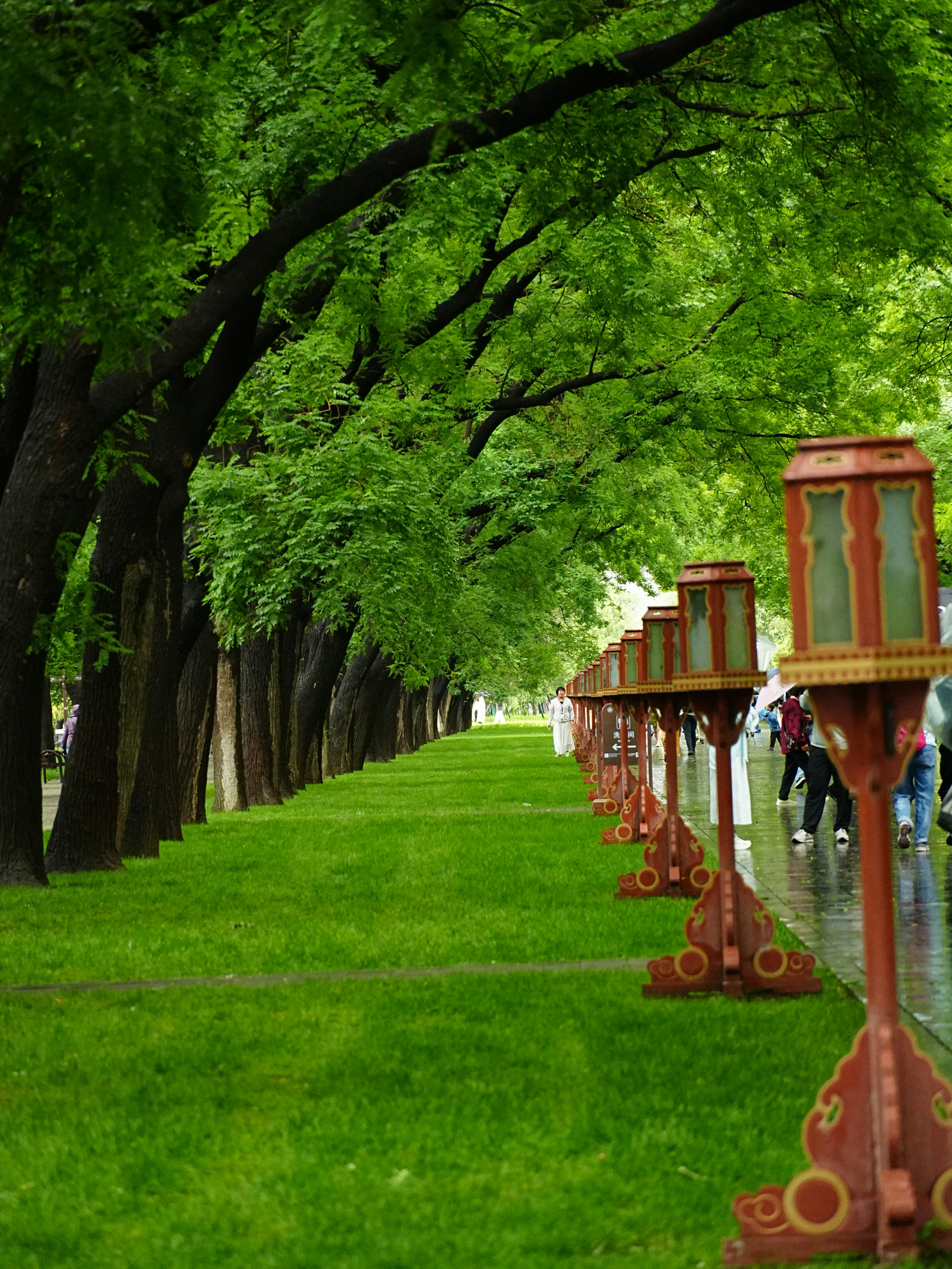 Row of ornate red lanterns guiding the green avenue
