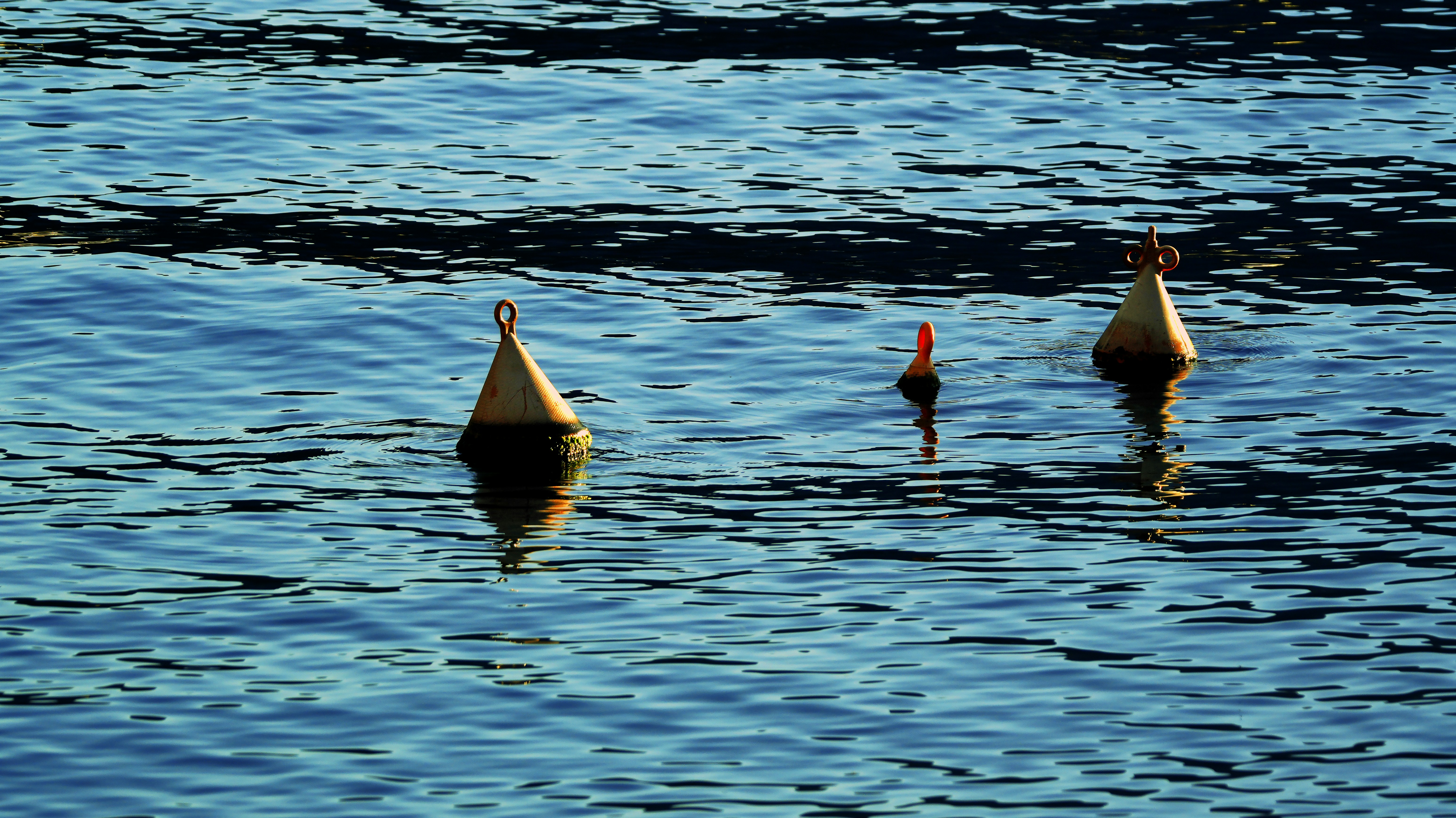 Buoyant Markers on Quiet Blue Tides