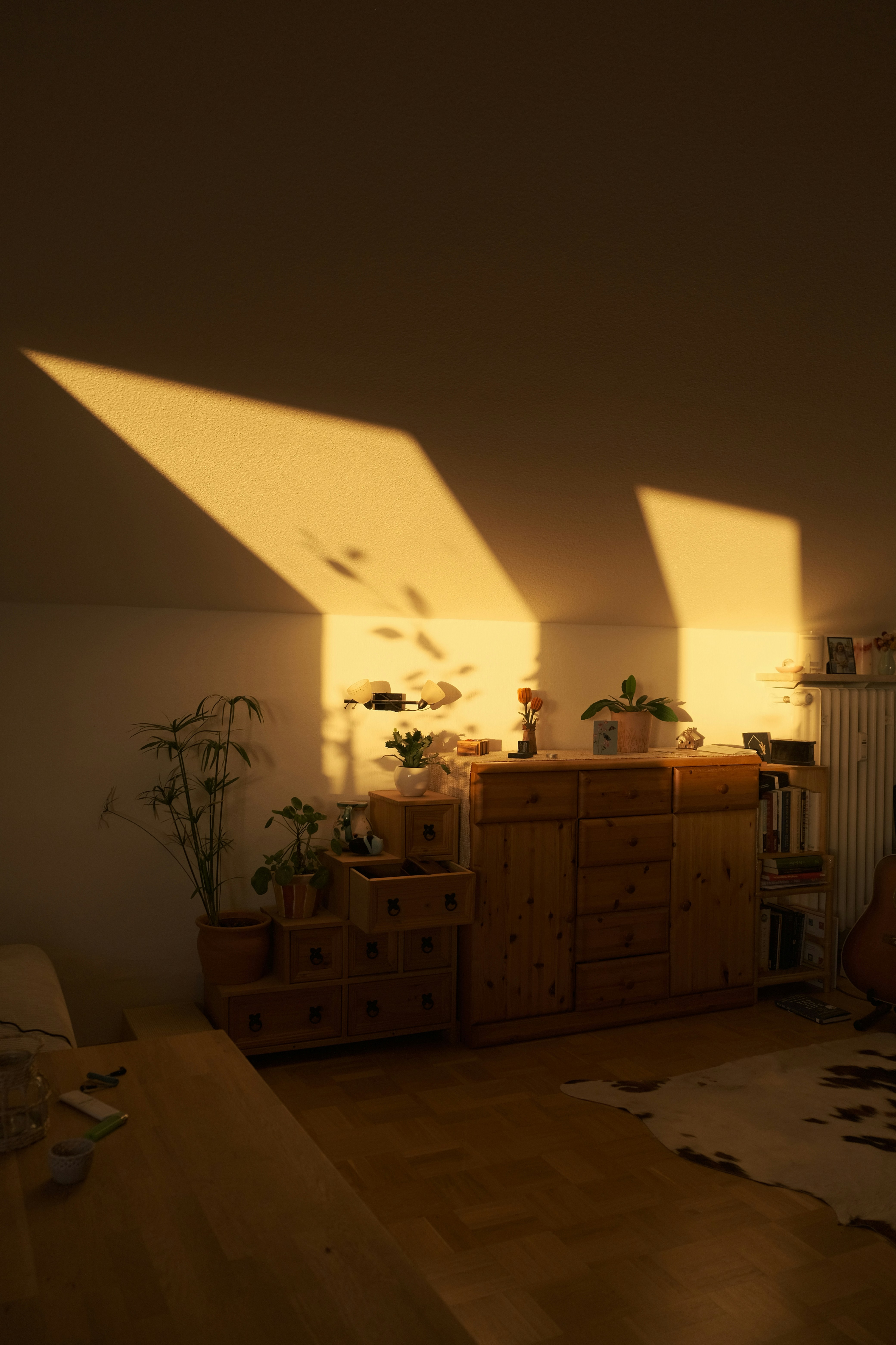 Sunlit Corners: Warm Shadows Cast Across a Cozy Interior