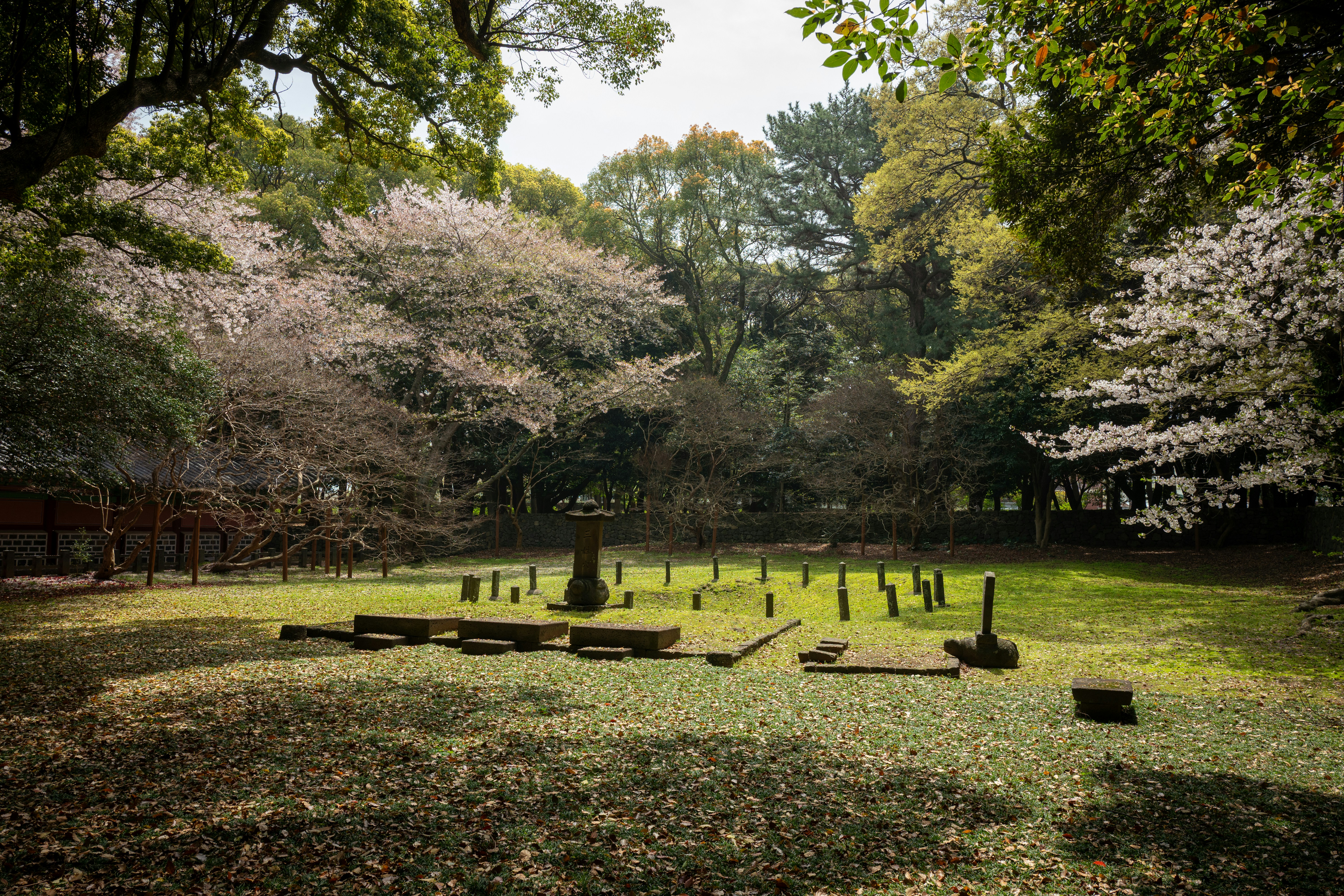 Springtime in the Stone Circle