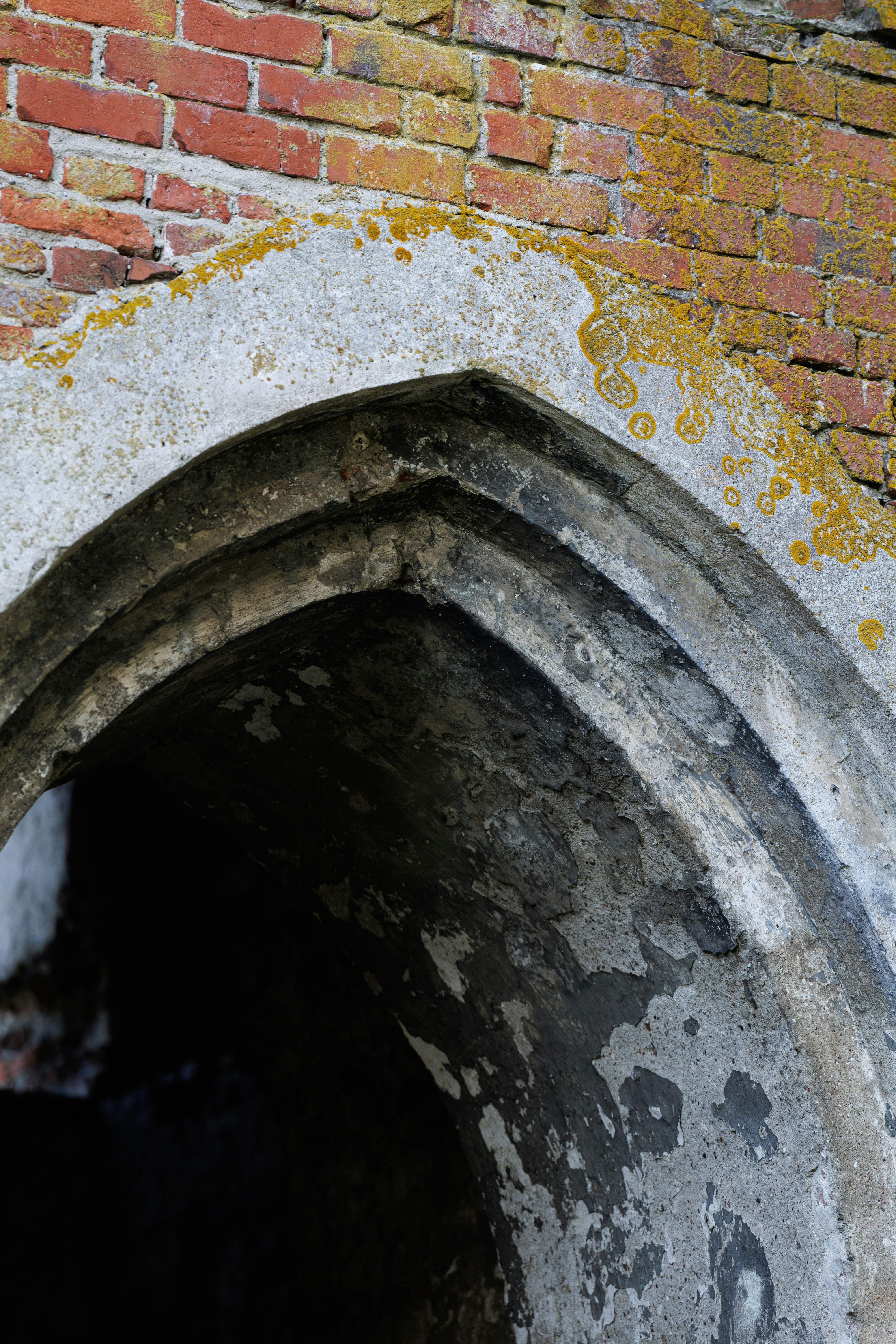 Stone Archway Dramatizes Timeworn Brick and Moss