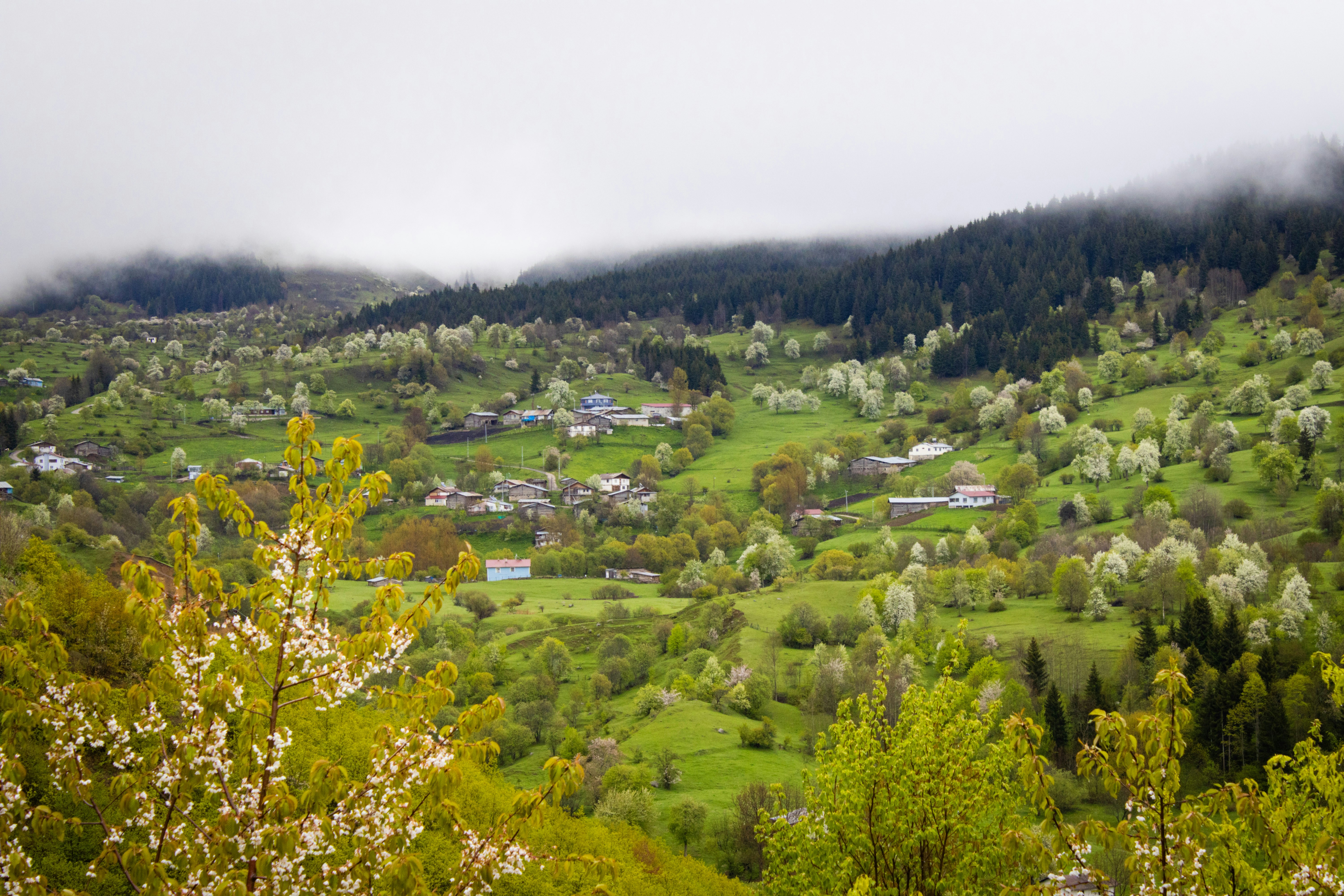 Verdant valley village beneath misty tenant of hills