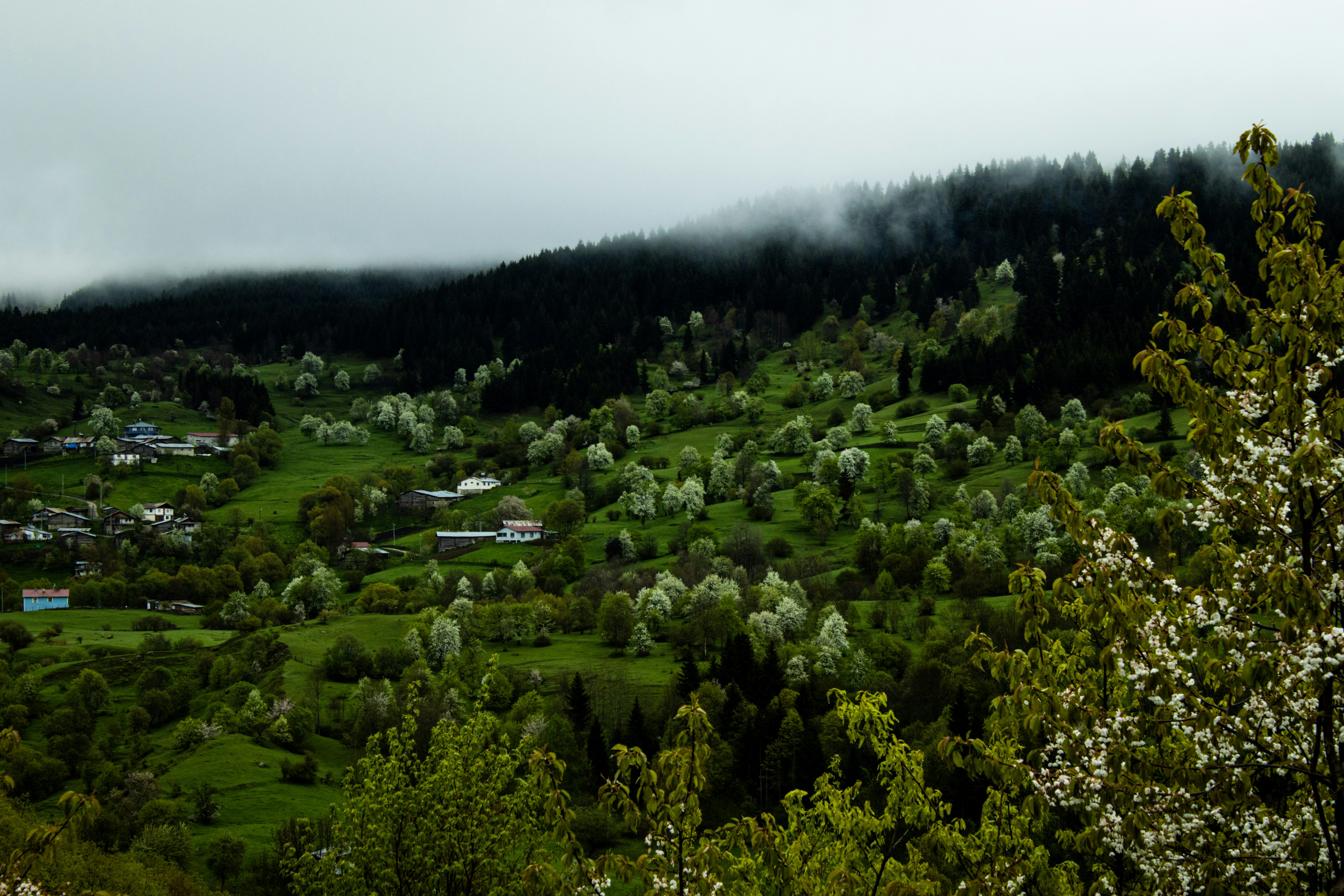 Spring landscape with a village, green trees, and misty mountains.