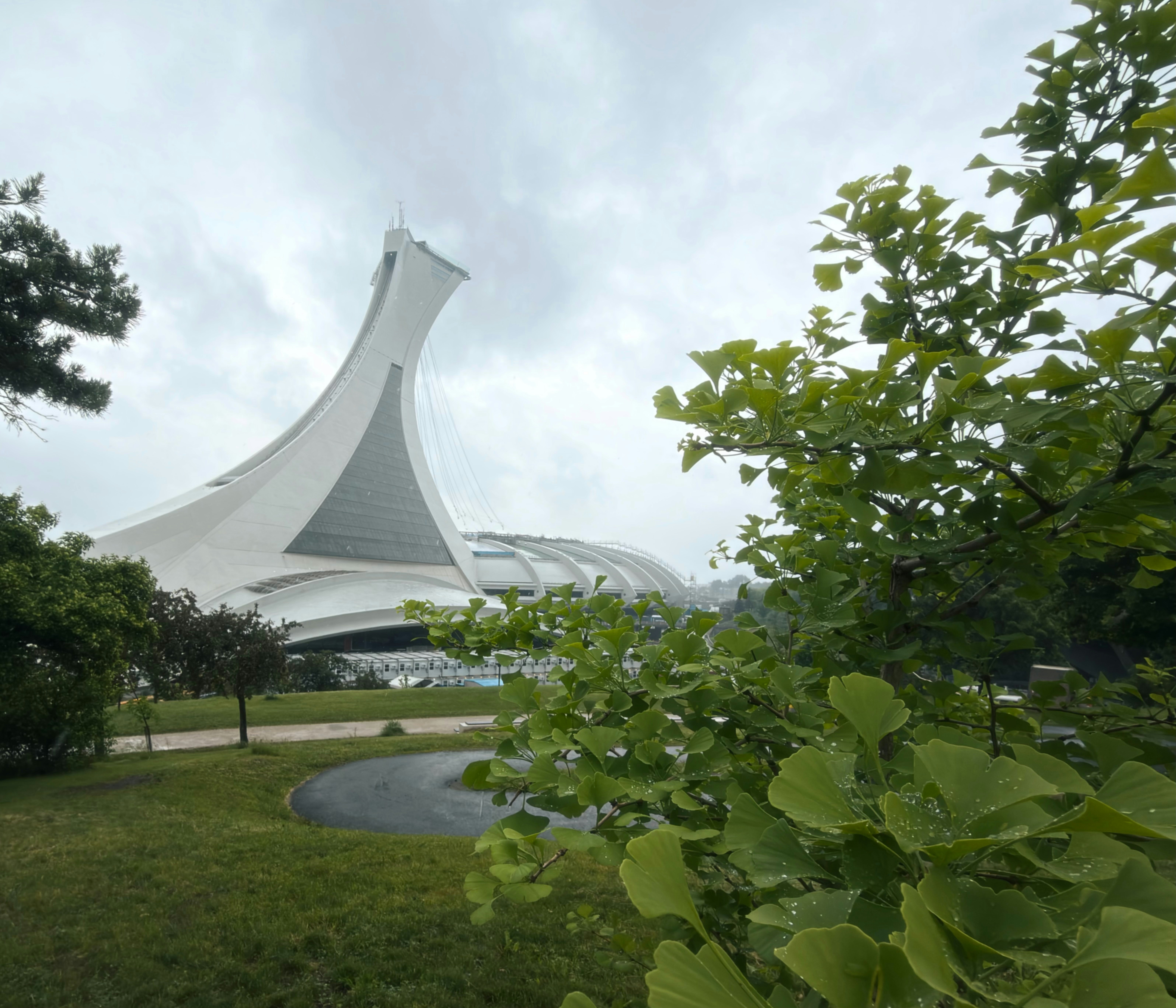 Arching Pavilion over a Serene Park