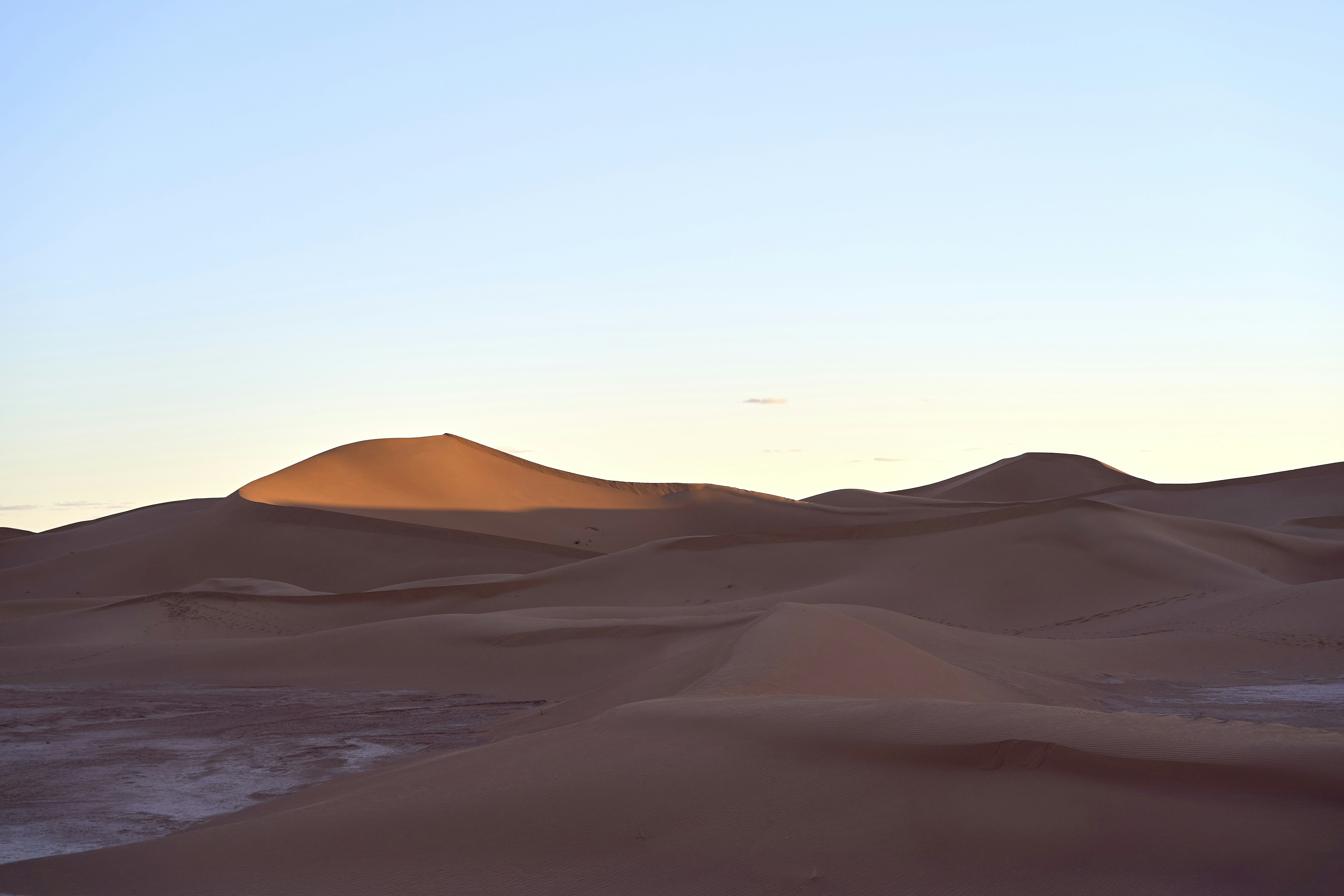 Dune Crest at First Light: Quiet Ridge of Silence