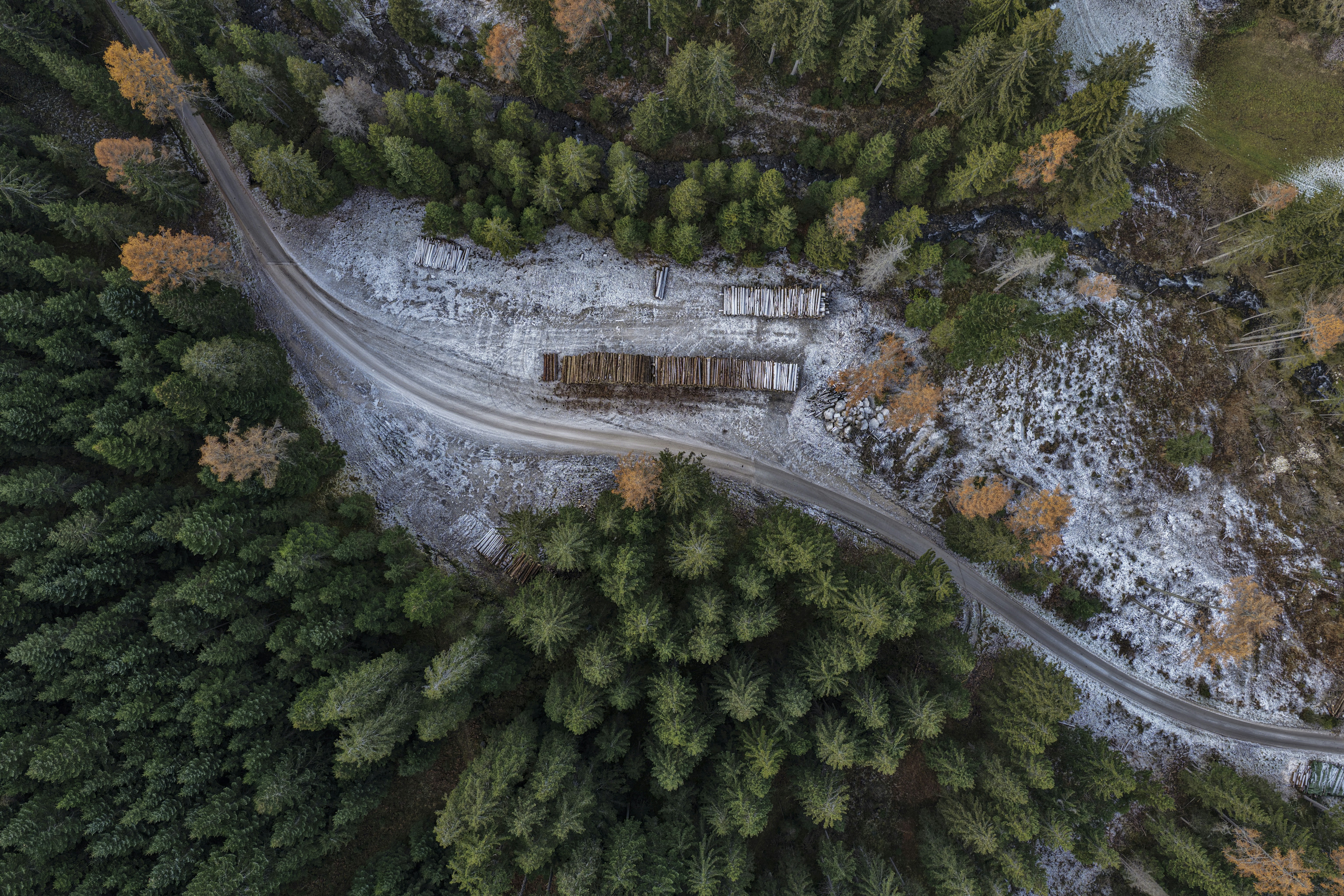 Snow-kissed Road Through a Pine Forest