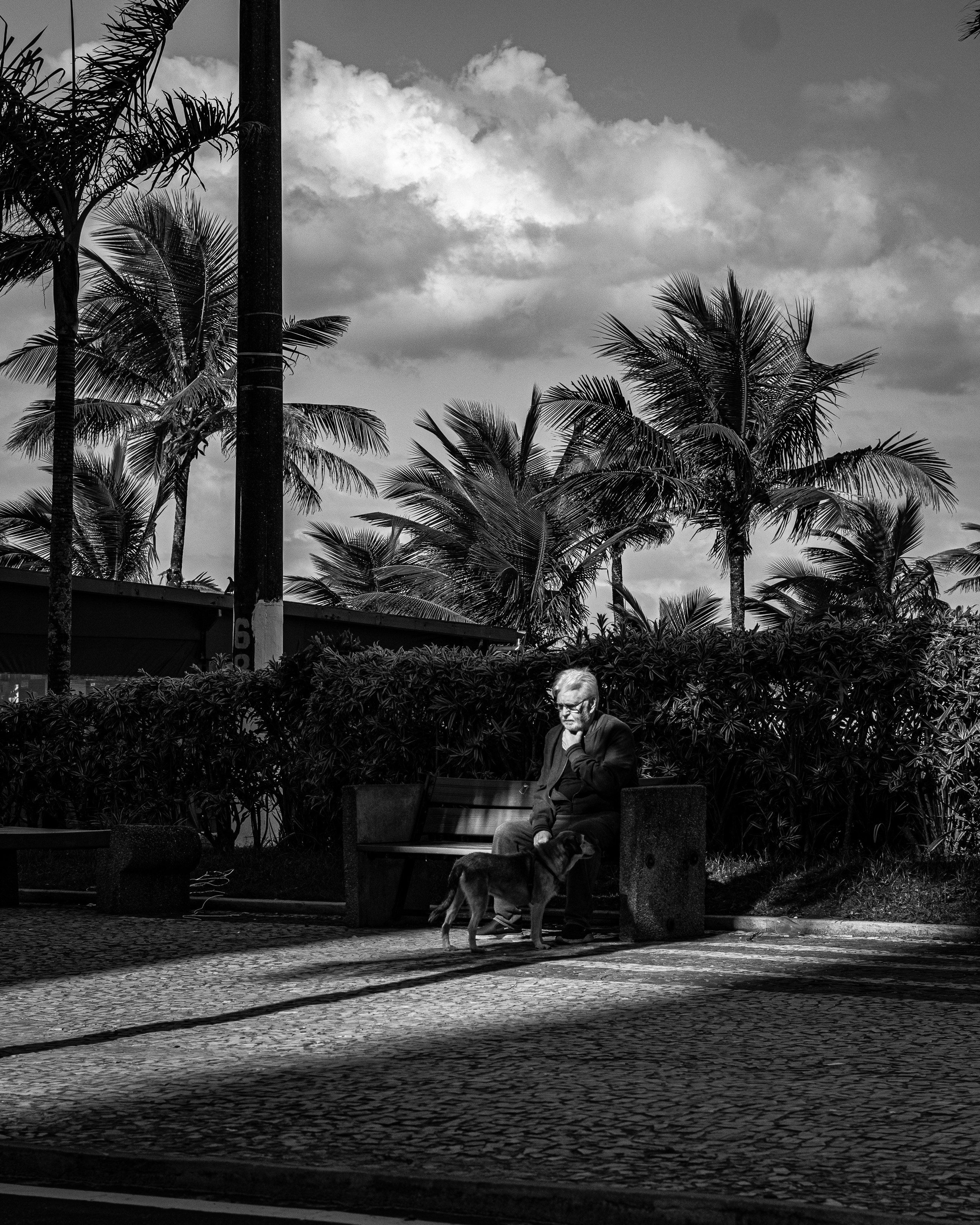 Lonely Bench, Quiet Moment