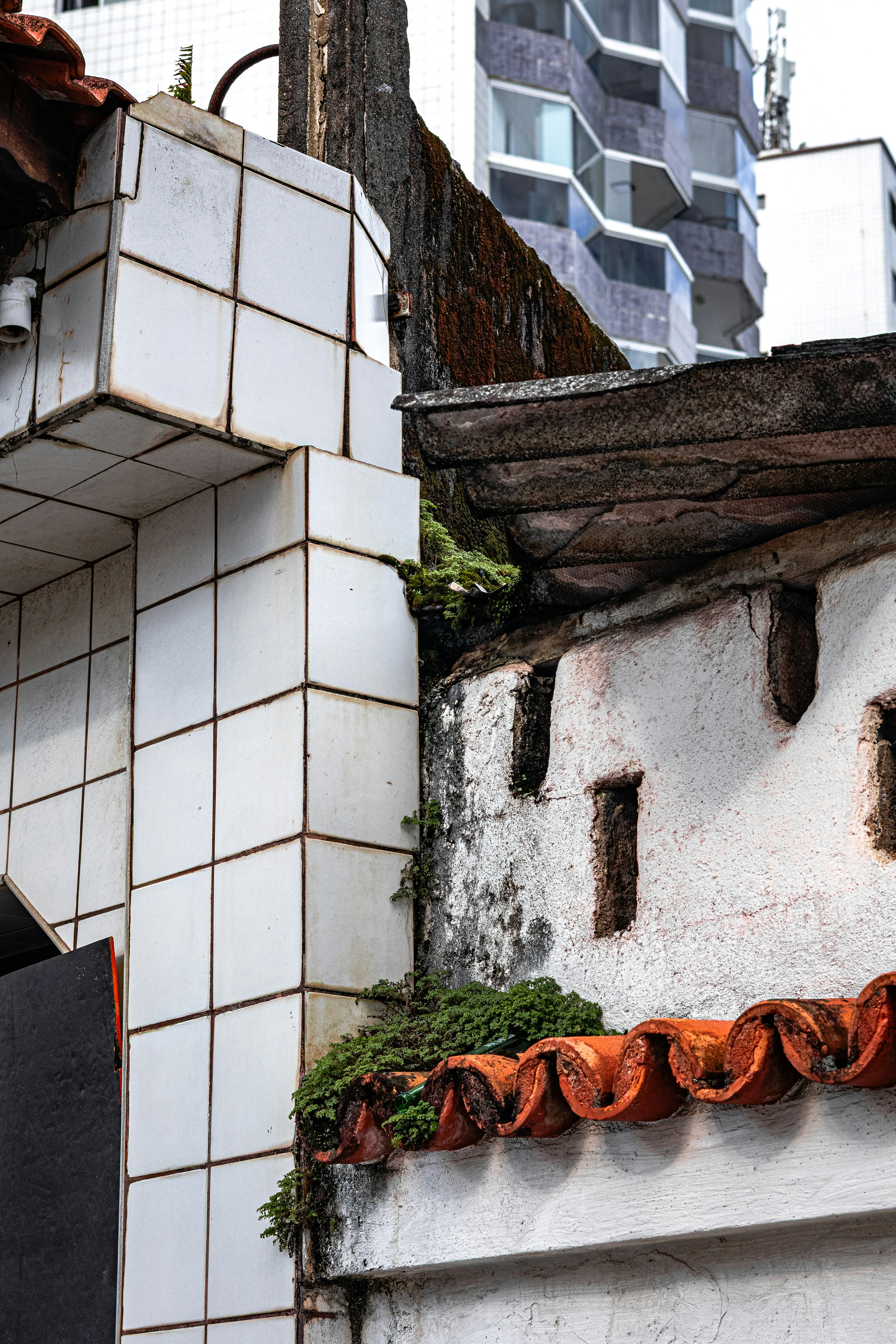Nature reclaims urban decay: moss and vines grow over weathered tiles and concrete structures.