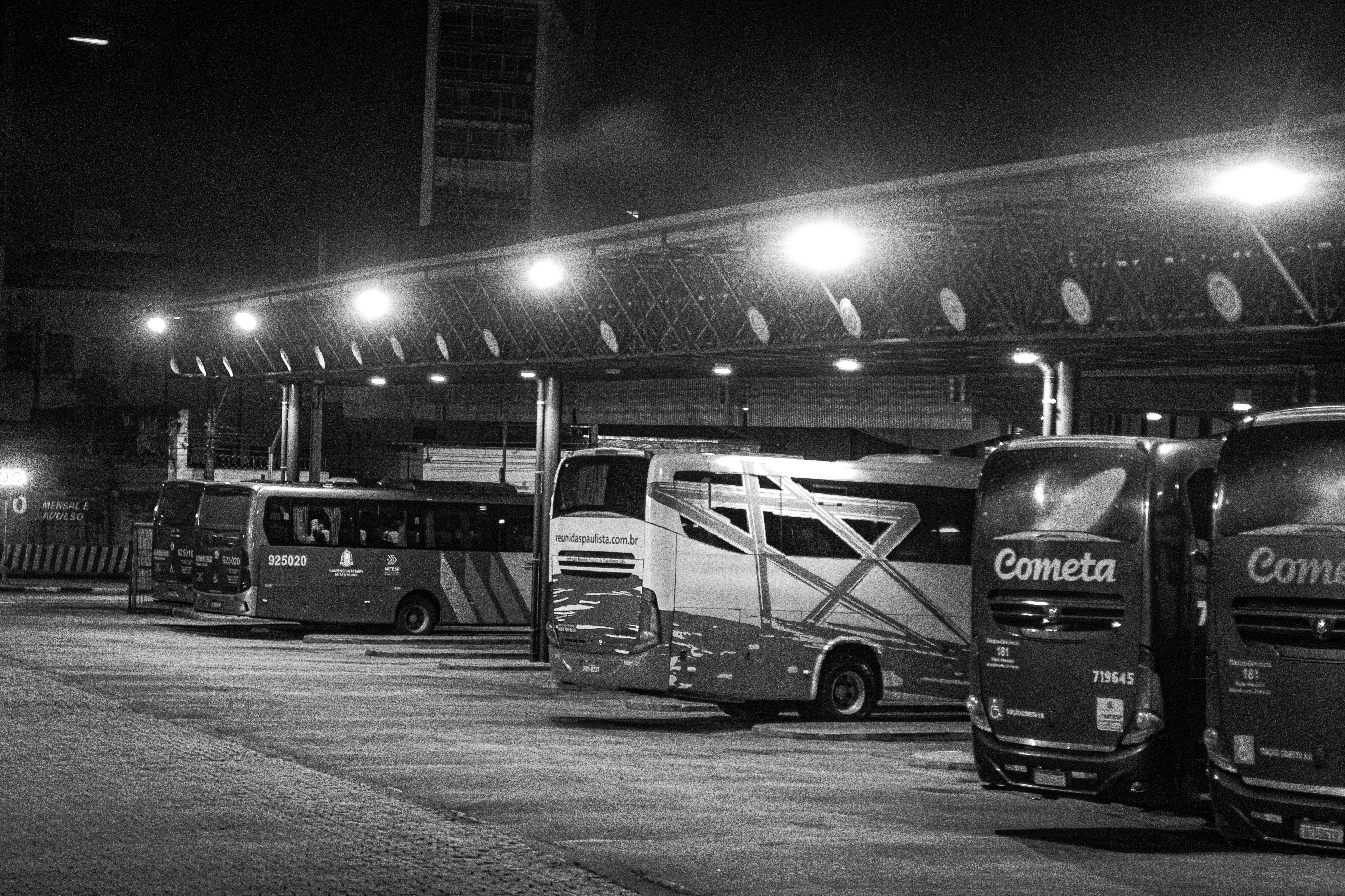 Night Bus Depot: Rows of Coaches under Neon Lights