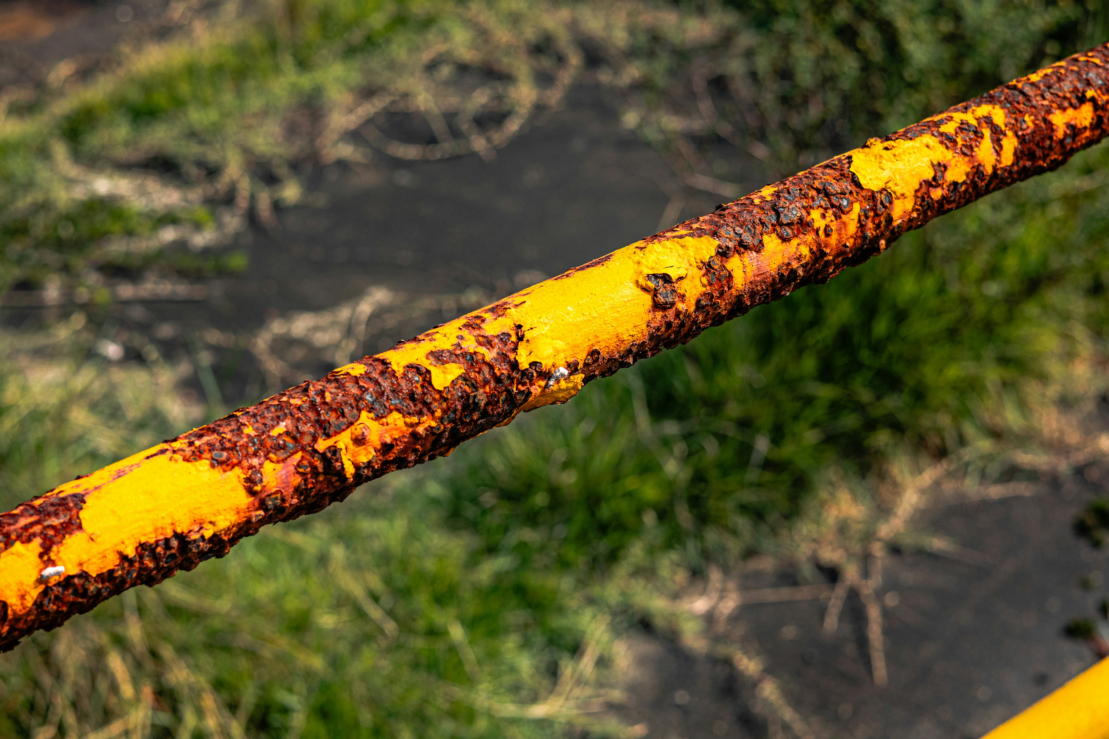 Rust Ribbon Across the Frame