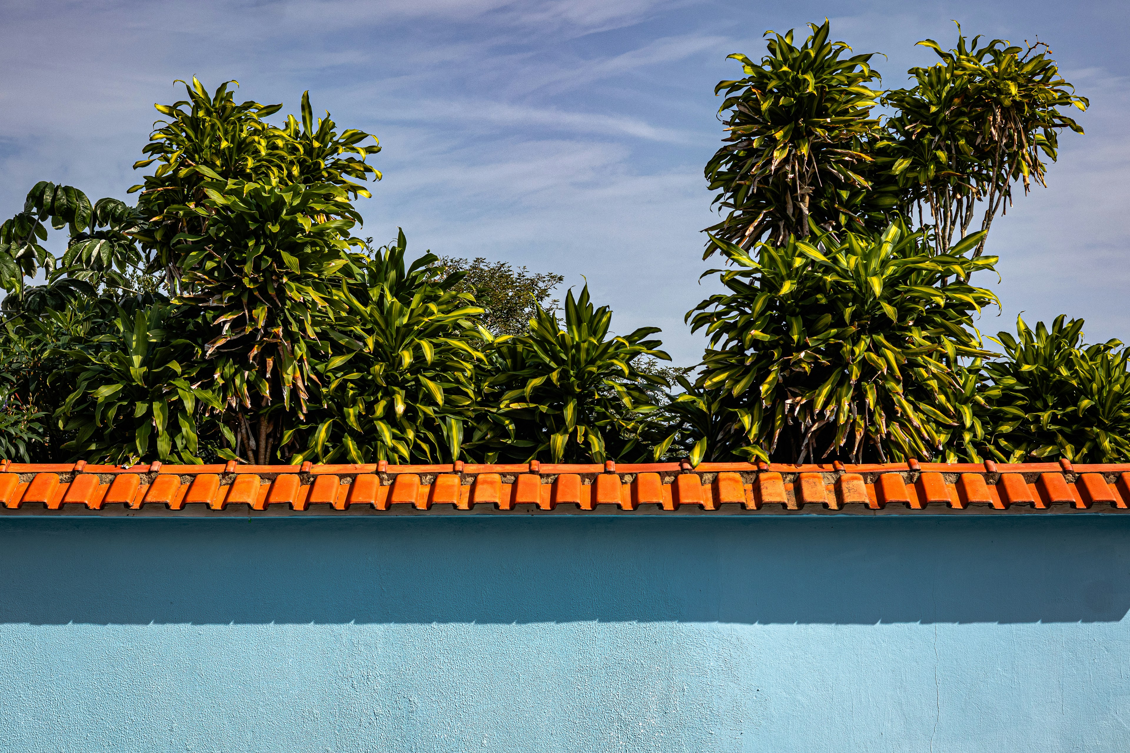 Azure wall meets orange-tiled edge under tropical palms