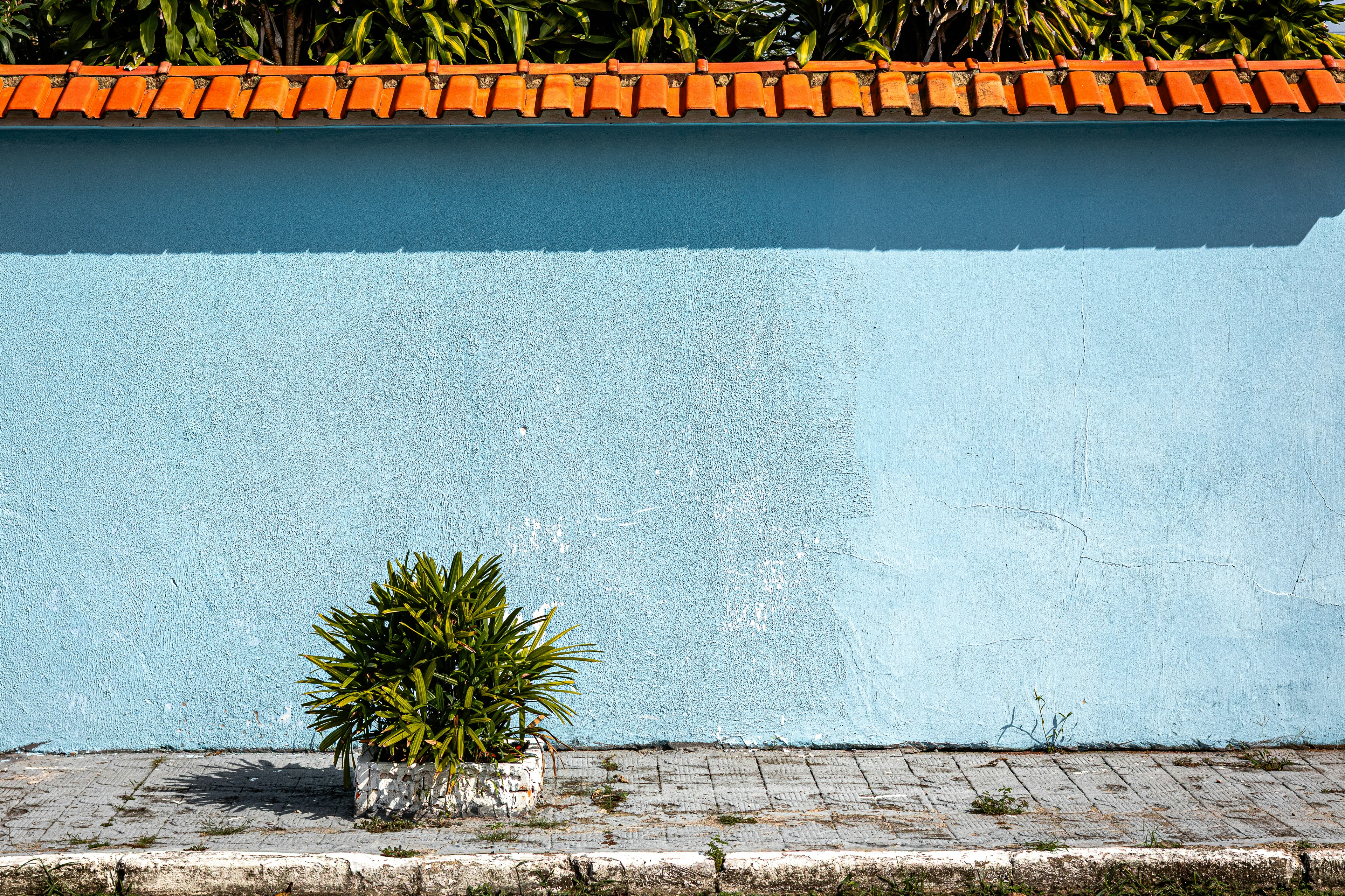 Blue Wall, Orange Roof, and Potted Plant Anchor