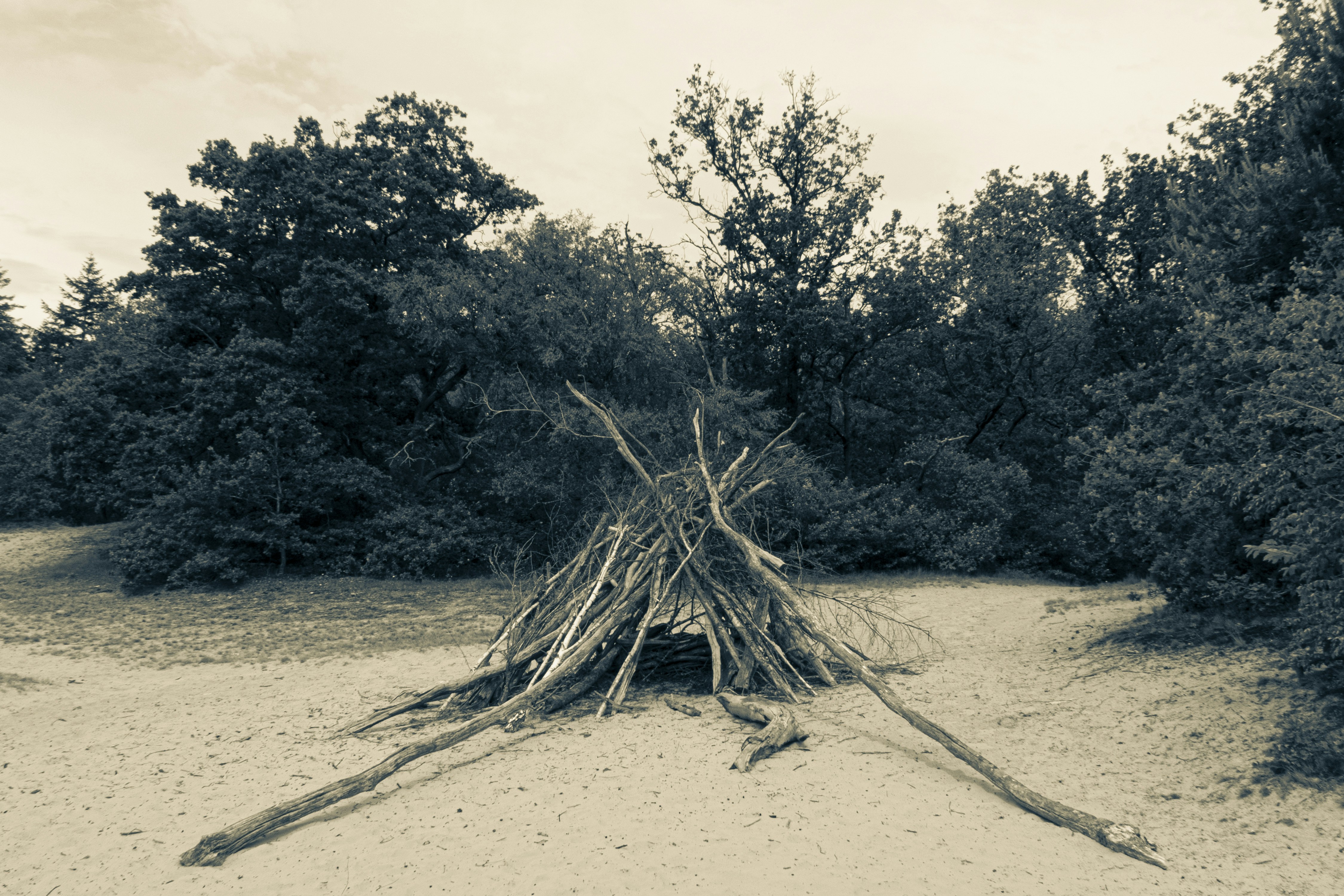 Woven Shelter in a Quiet Clearing