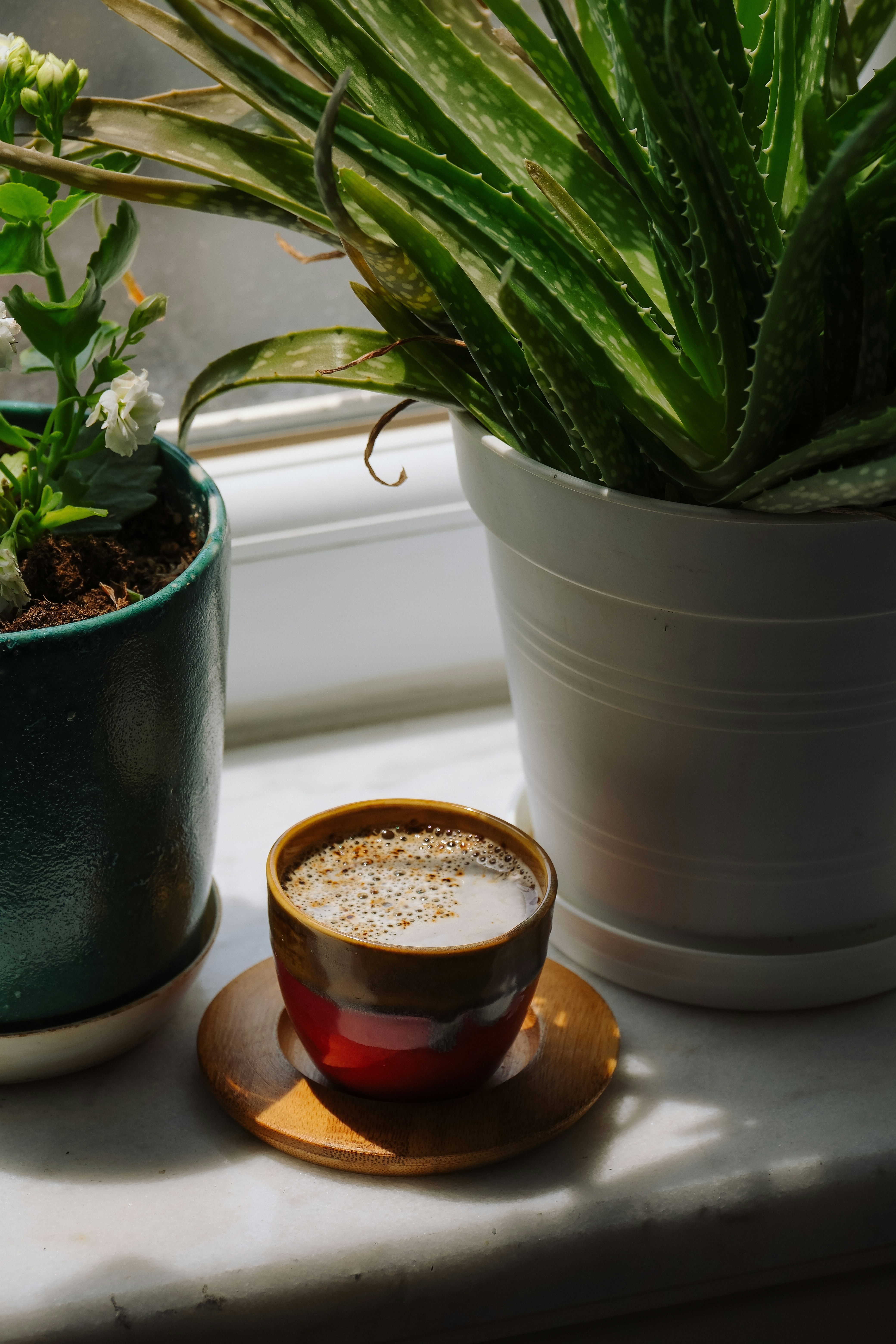Steam on the Window Sill: Coffee Amid Green