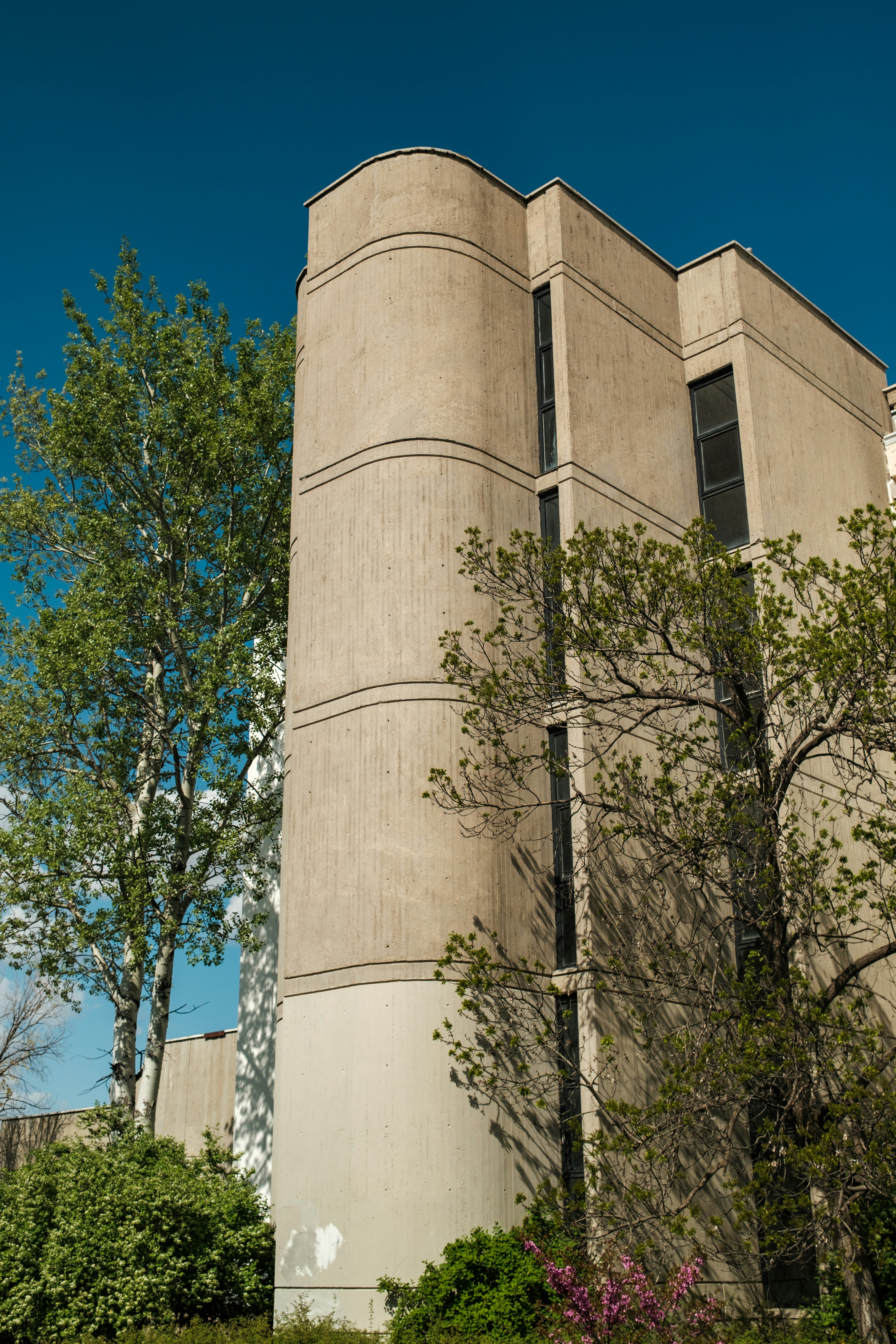 Concrete tower flanked by trees under a clear blue sky