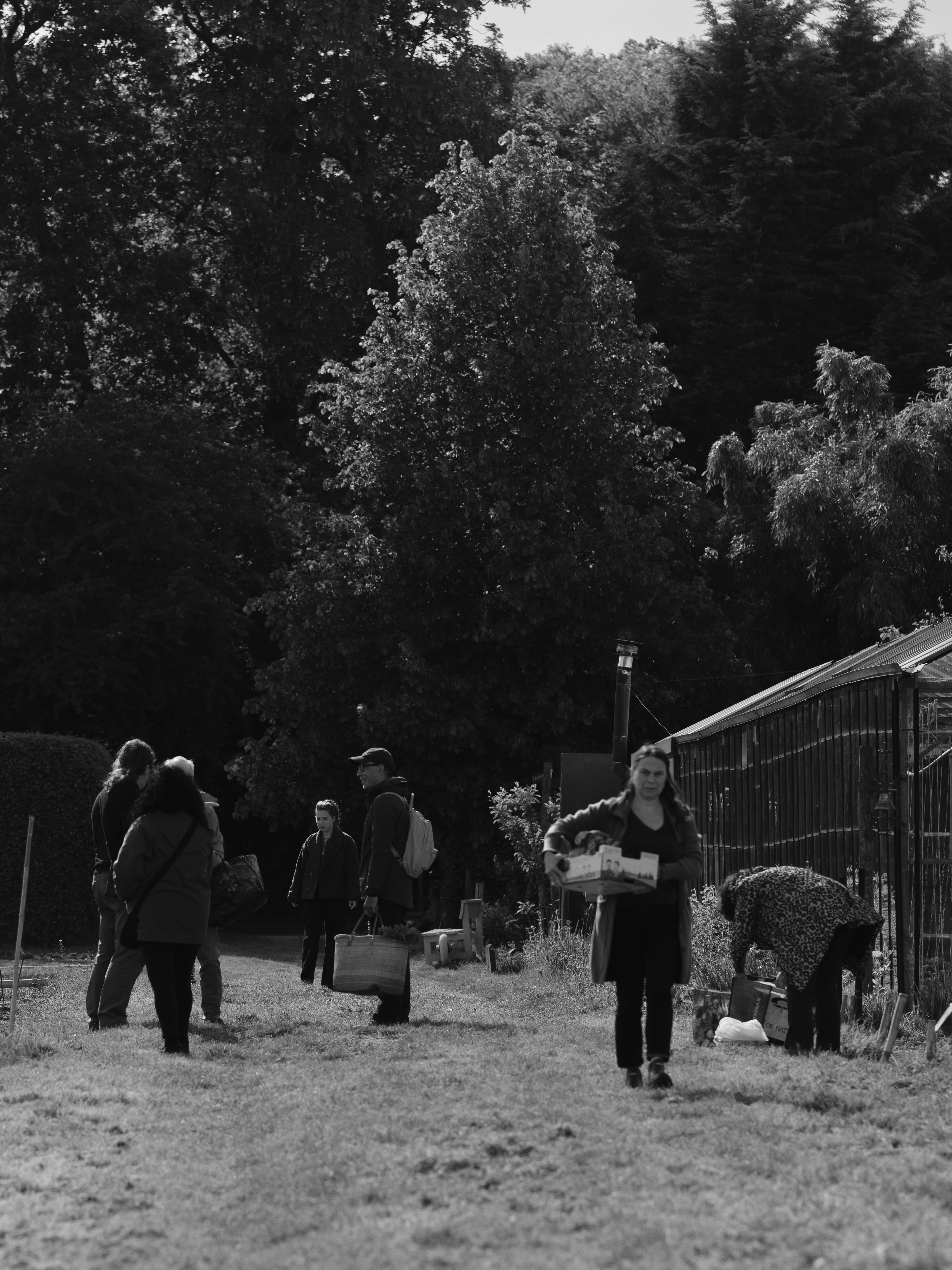 people working on a field
