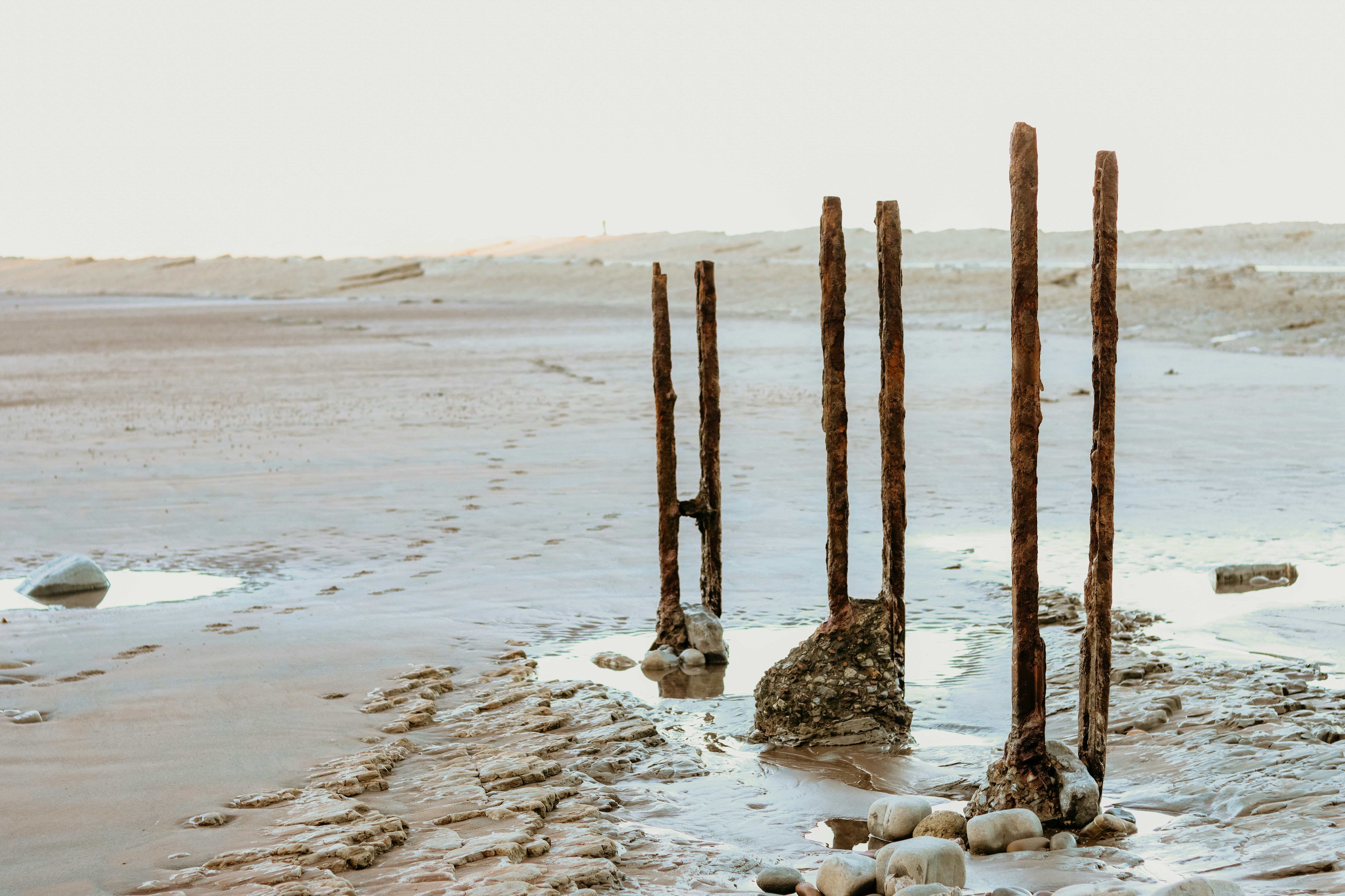 Driftwood Pillars in Quiet Tidal Flats