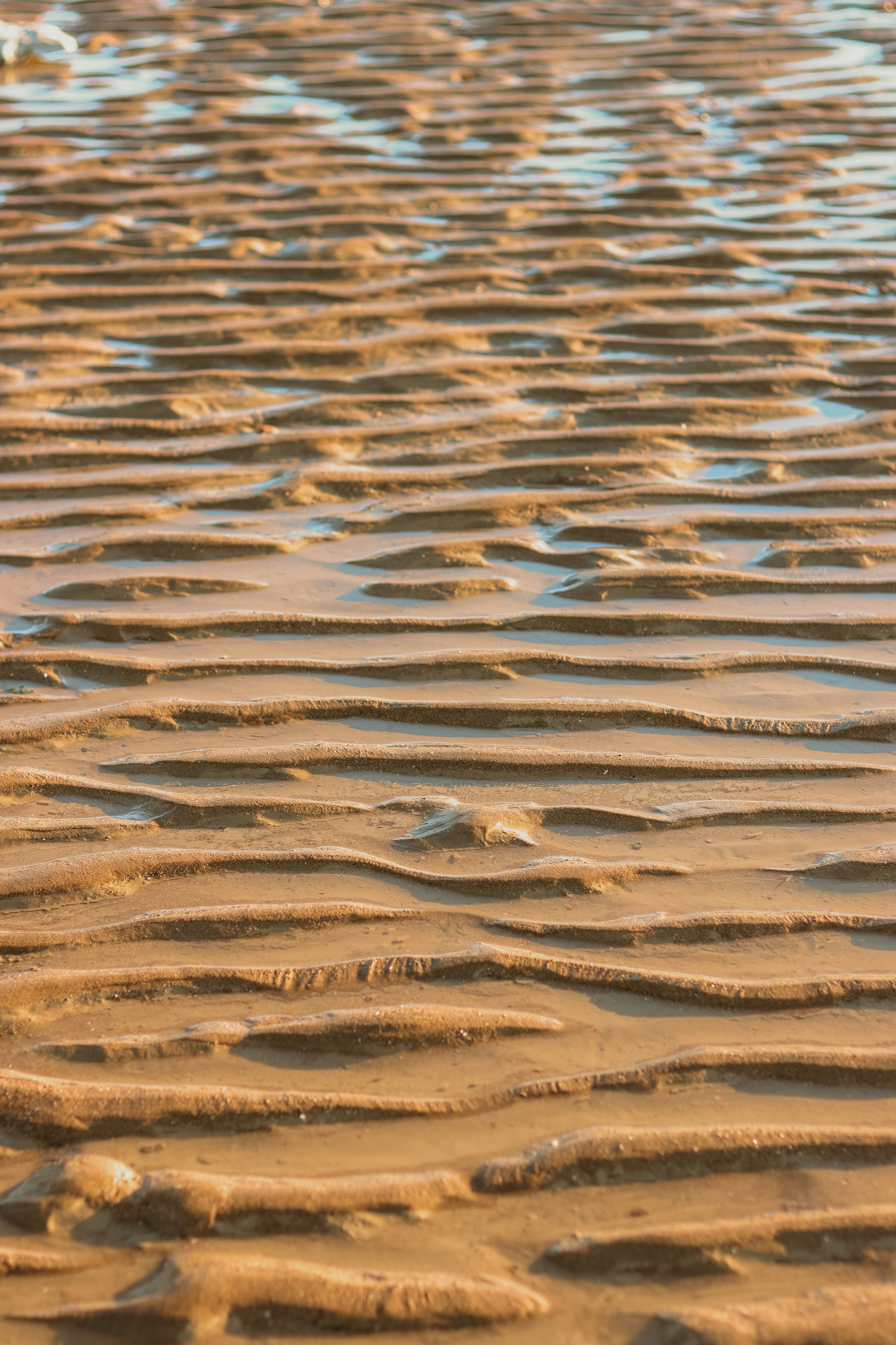 Sunlit Ripples: Traces of Wind on Desert Sand