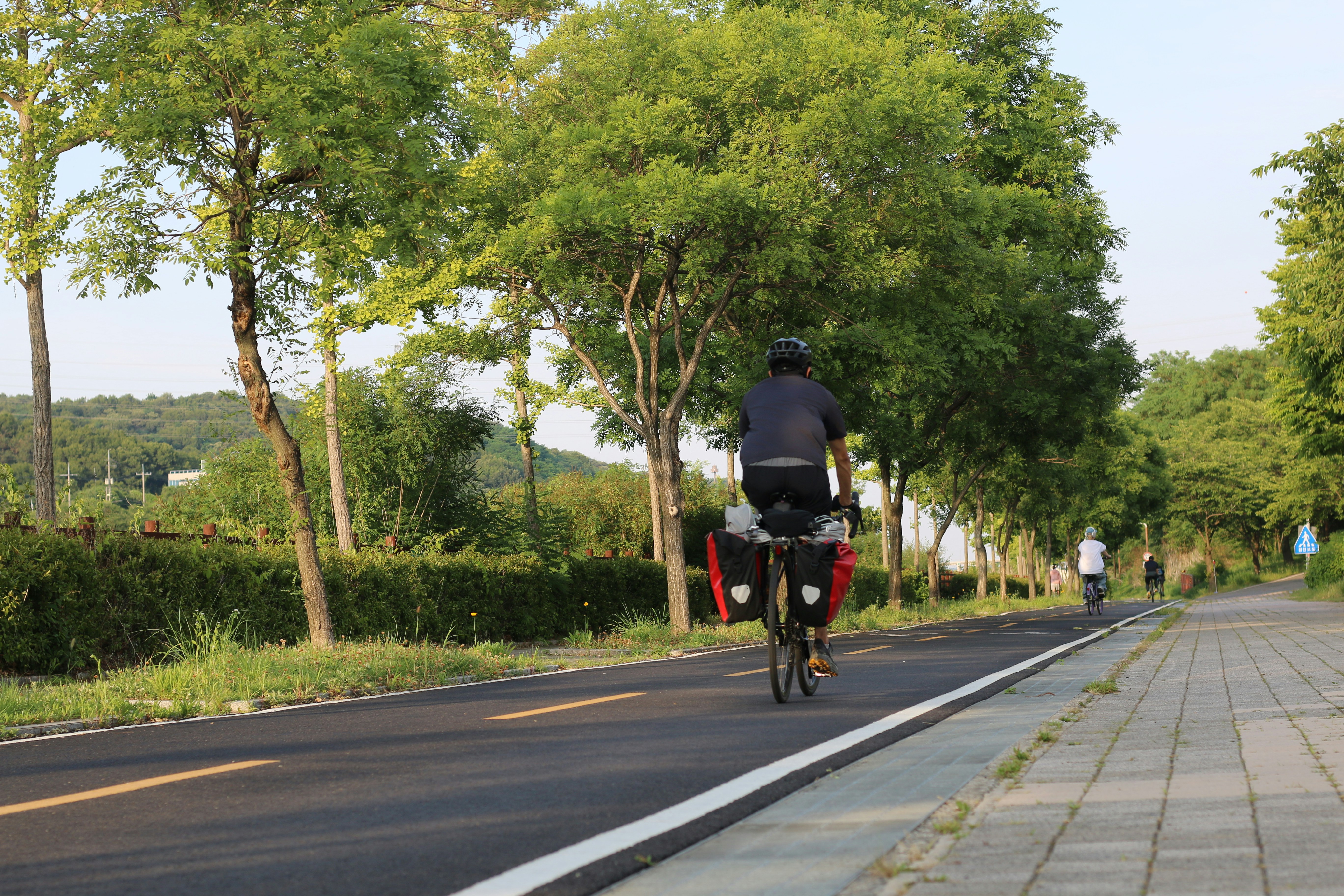 A cyclist rides along a tree-lined path with a paved sidewalk to the right, captured in broad daylight with clear skies.