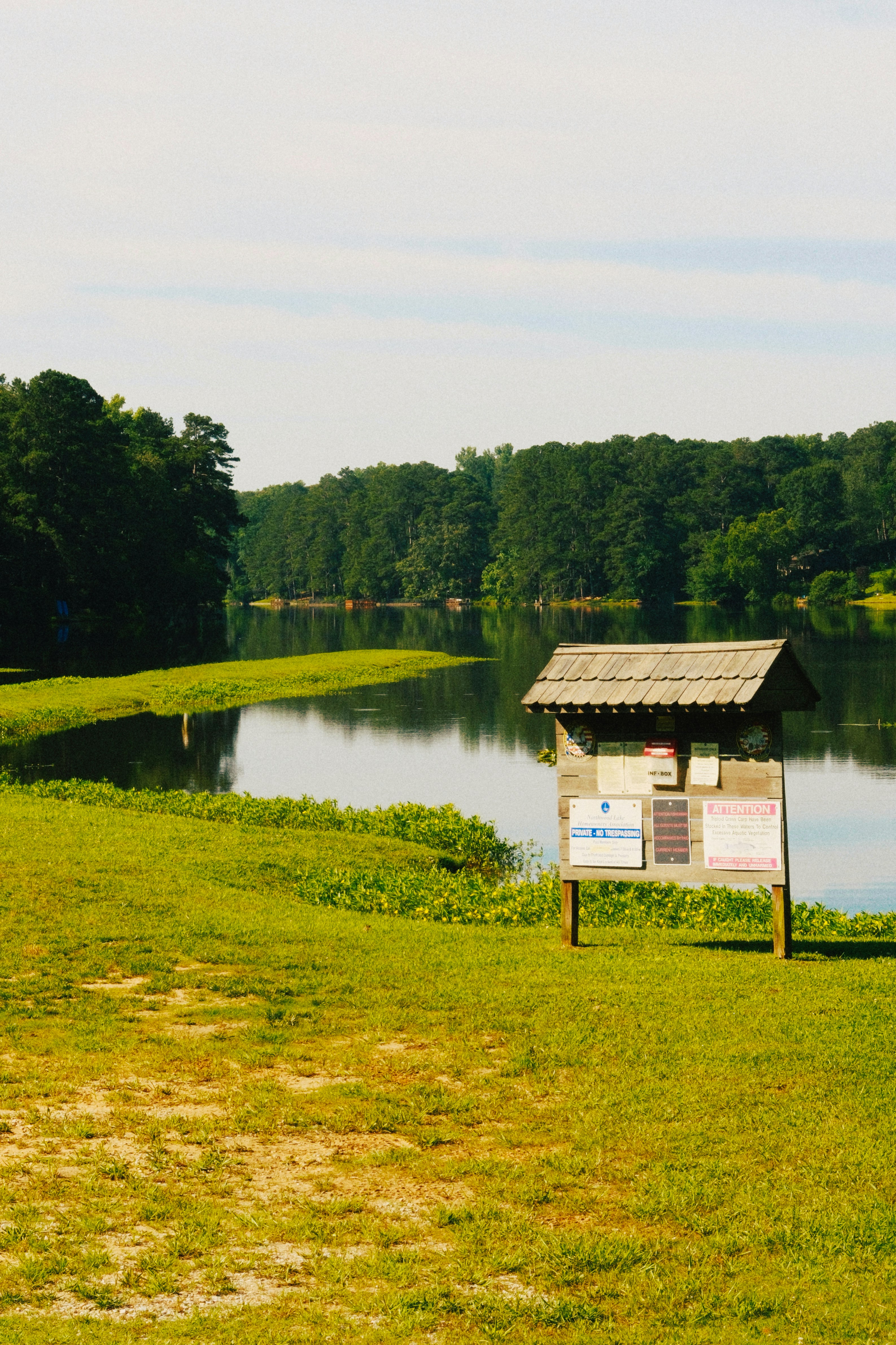 Lakeside Information Post Framed by Green Knoll