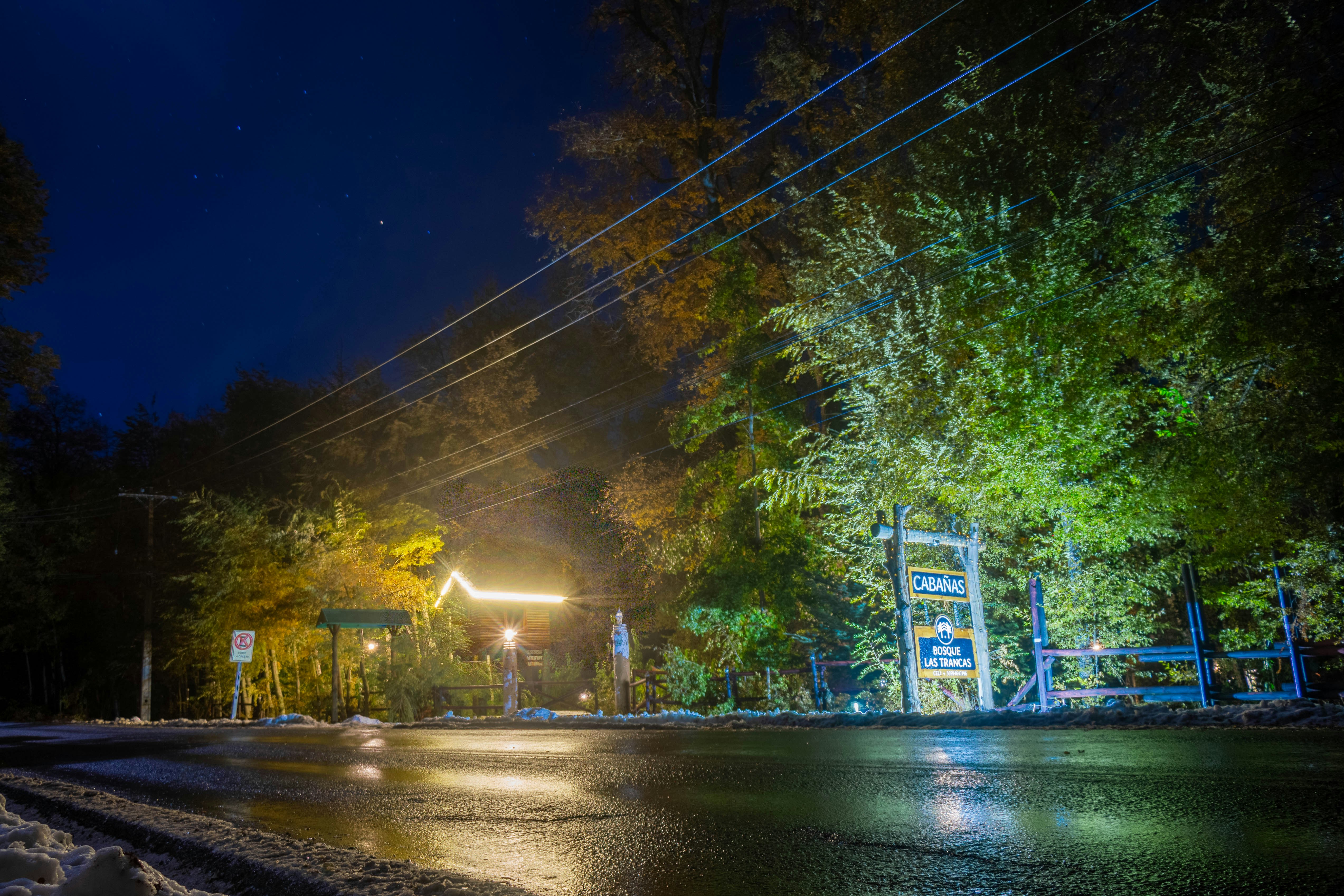 Nighttime Roadside Quiet: Neon Signposts and Wet Street Lights