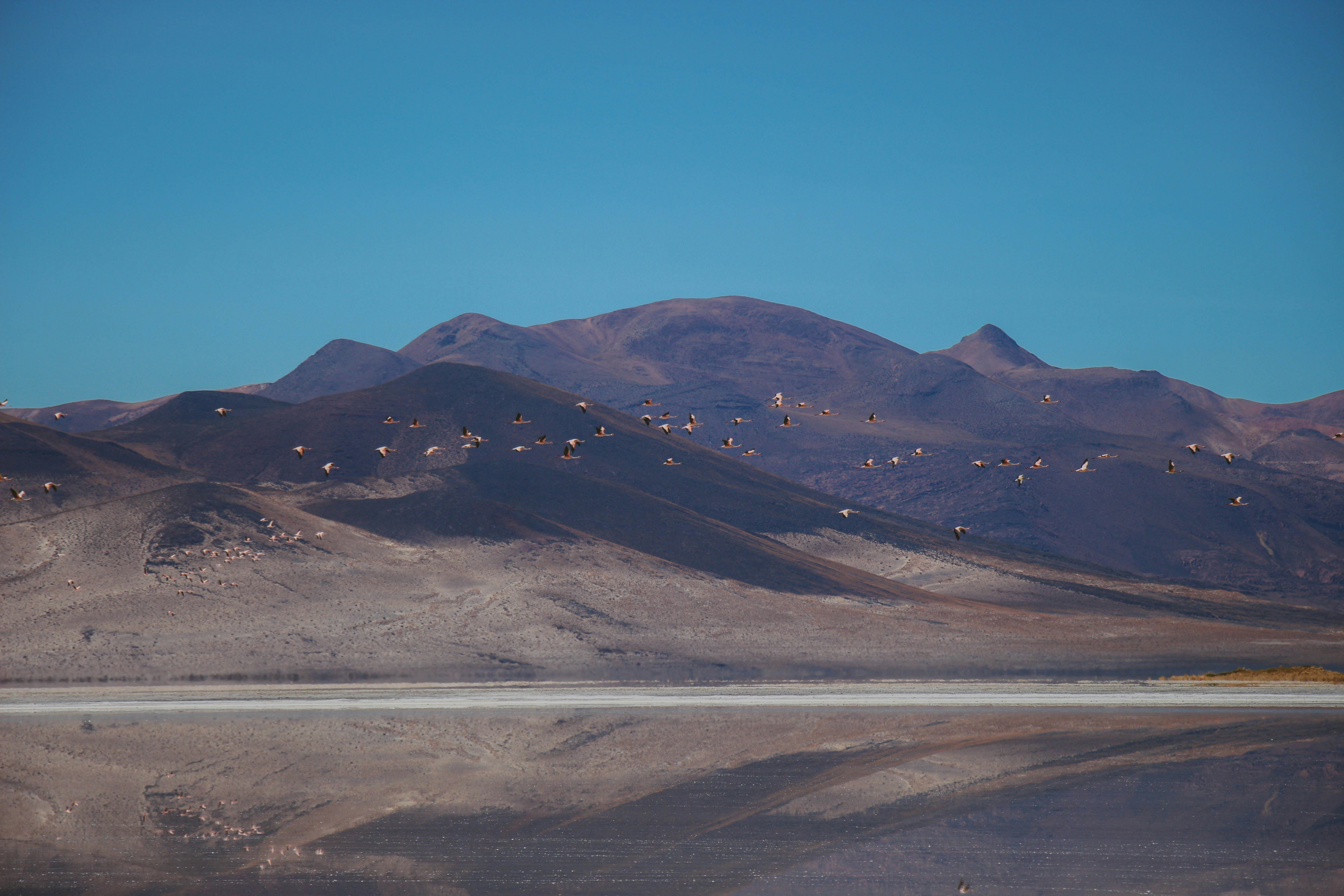 Desert Ridge at Dusk: Silent Sway of Mountain Horizon