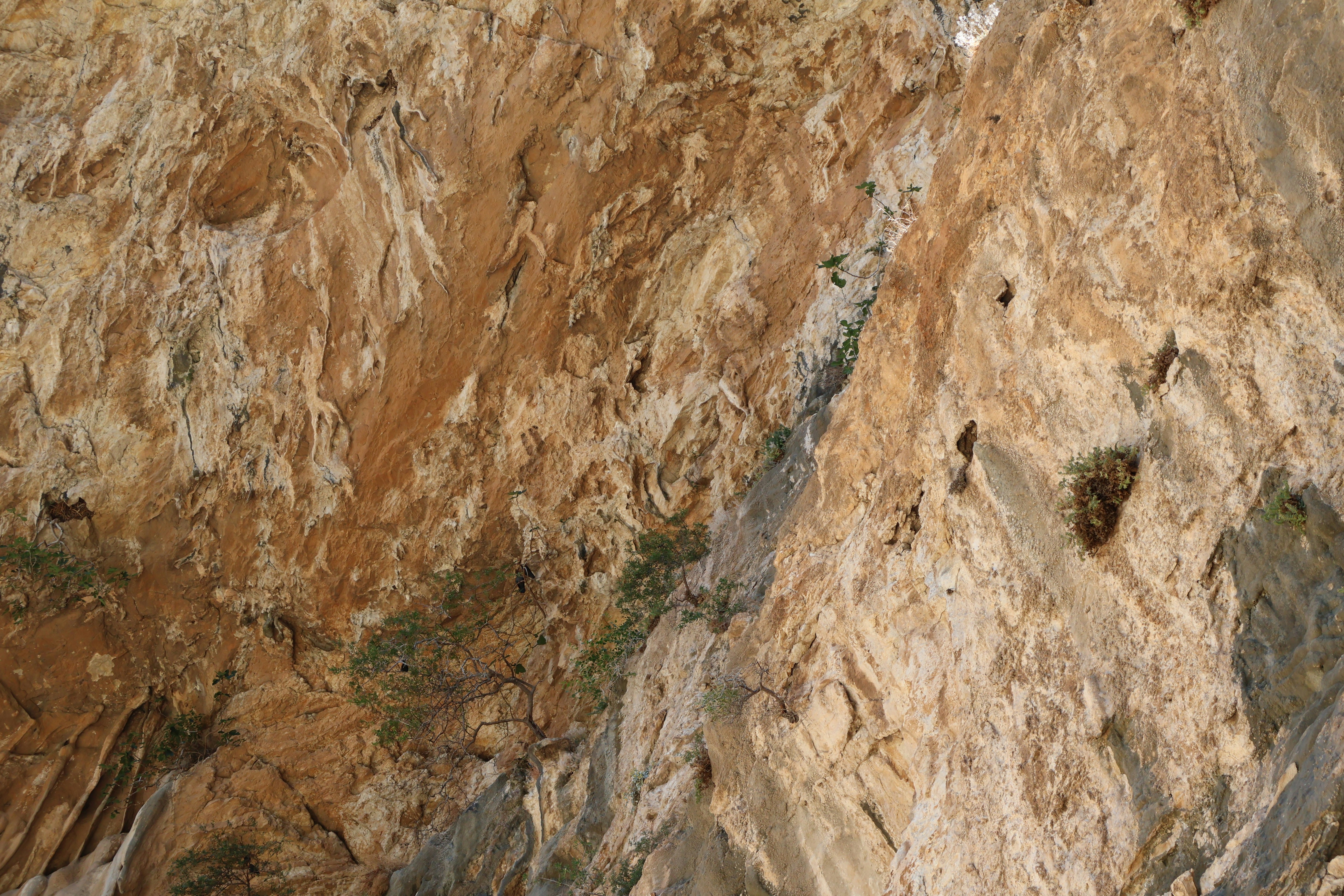 Rough, textured rock face with shades of brown and beige.