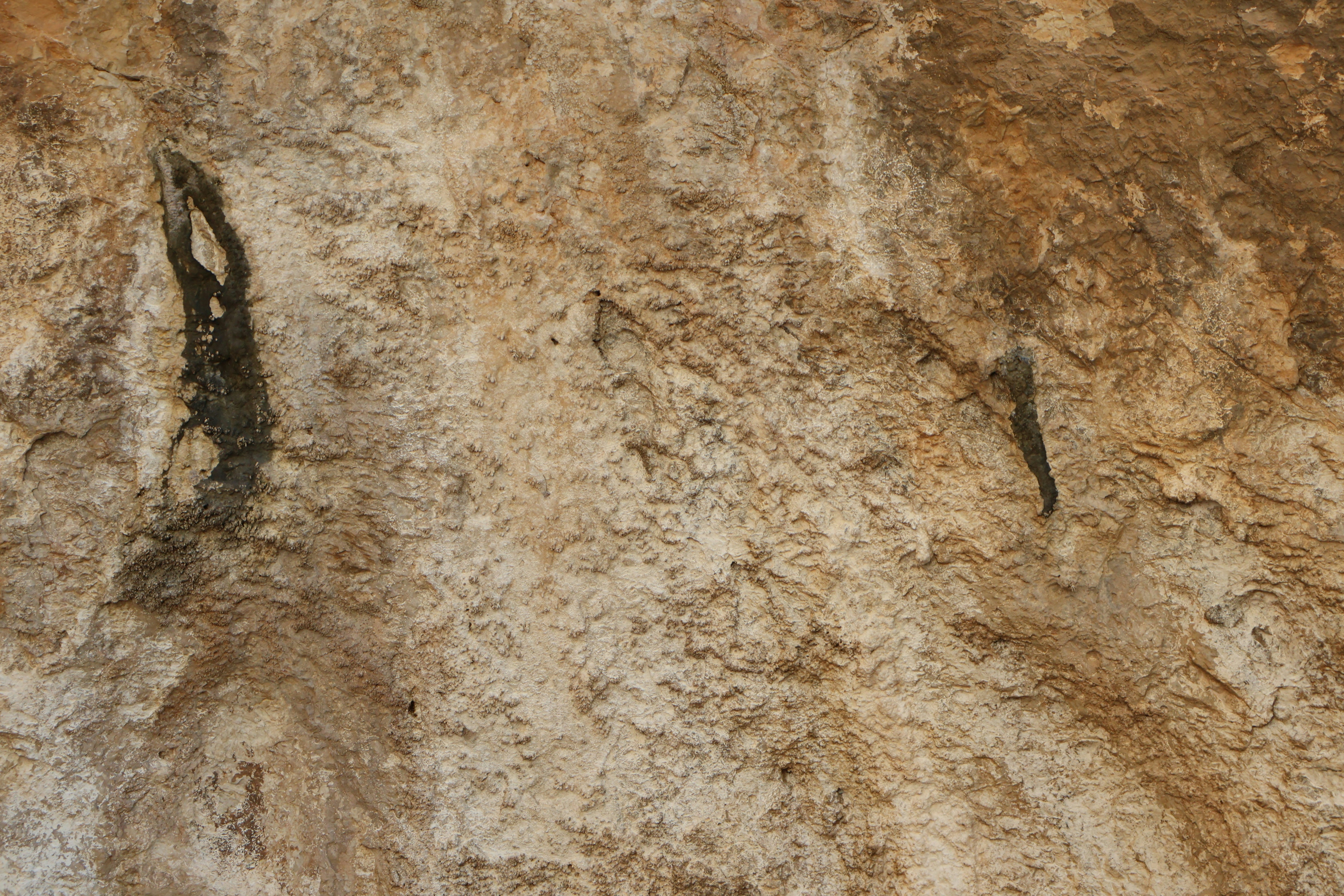 Texture of Weathered Cliff Face: Subtle Echoes of Time
