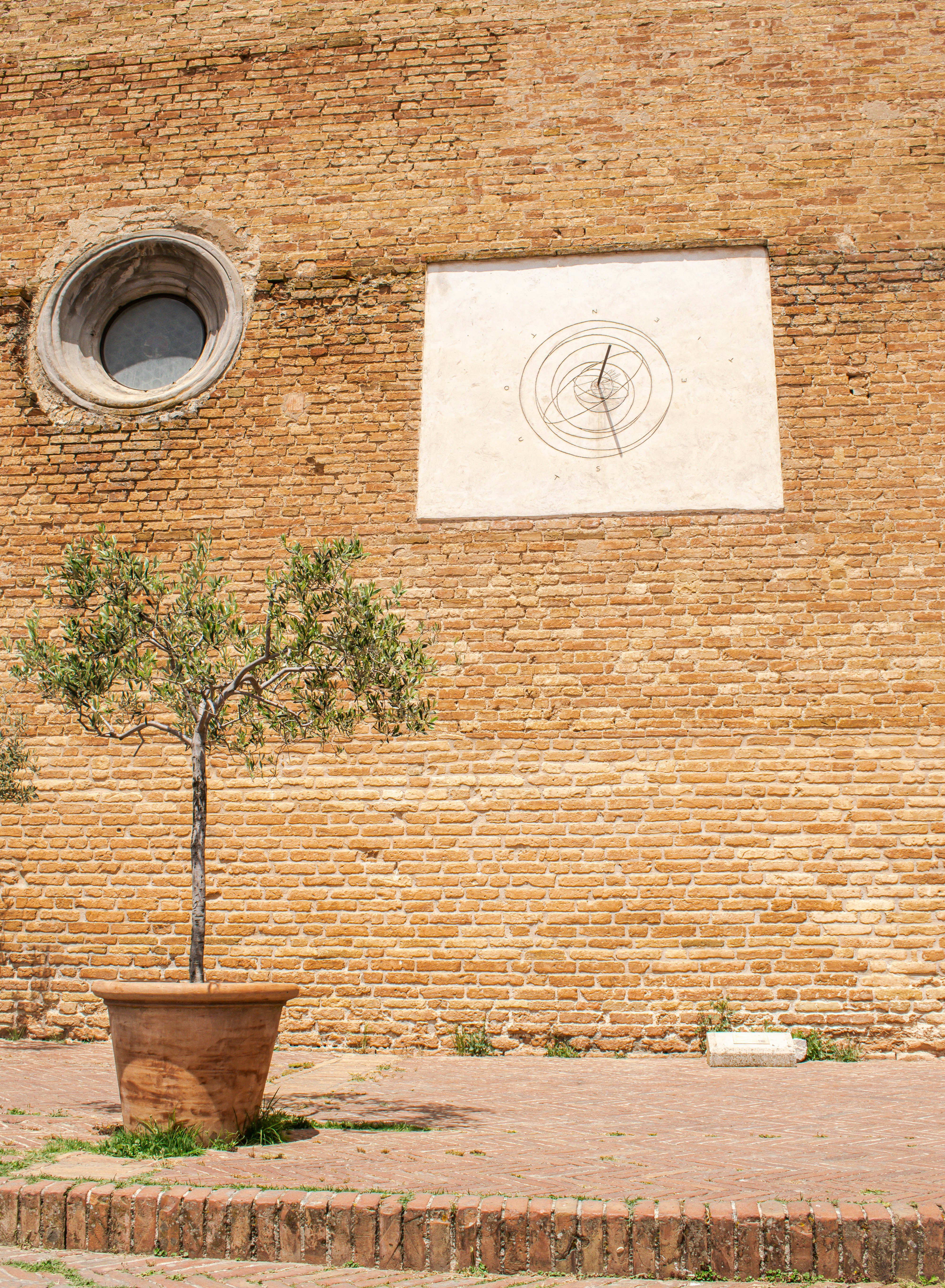 Brick Wall with Potted Tree and Circular Target Mark on White Panel