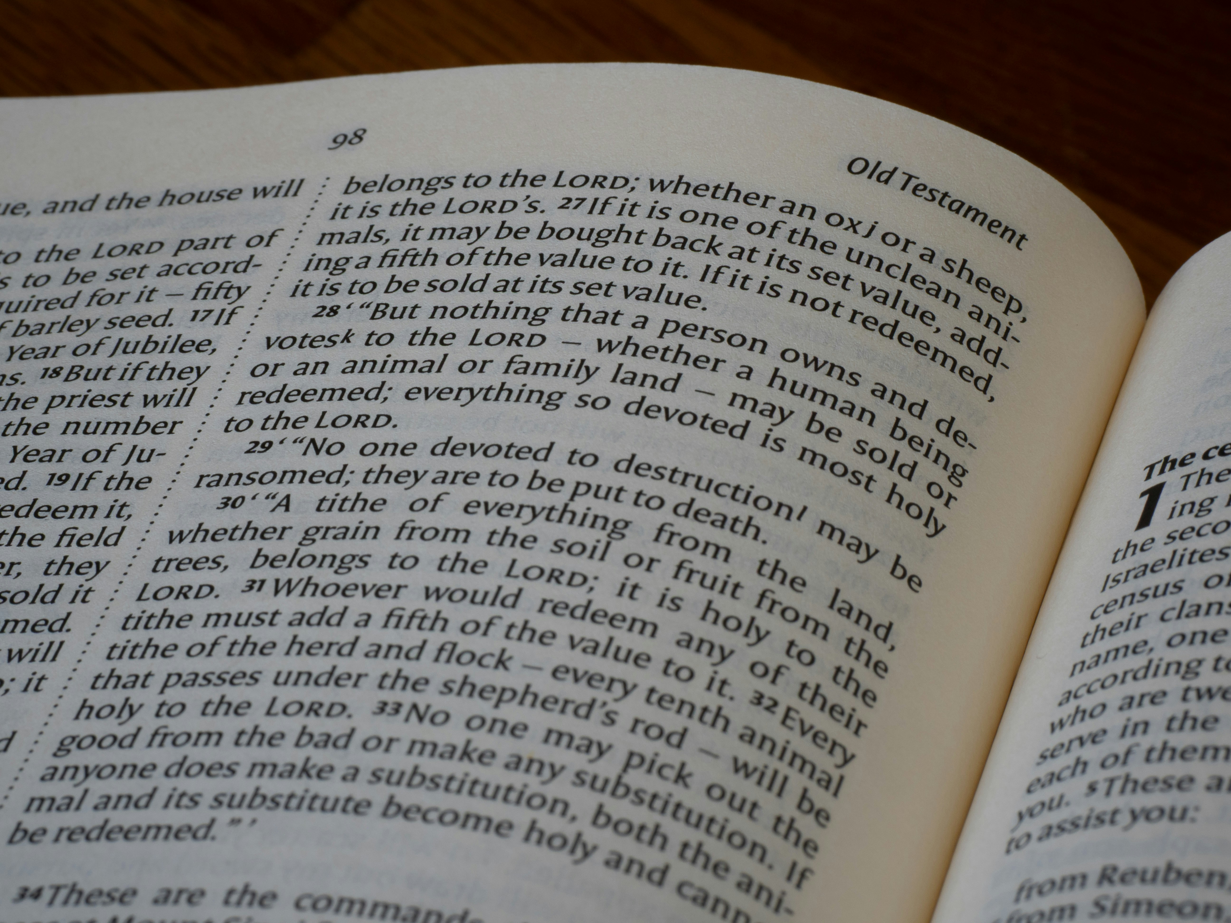 Overhanging Pages: An Open Bible Spotlighted by Gentle Lighting