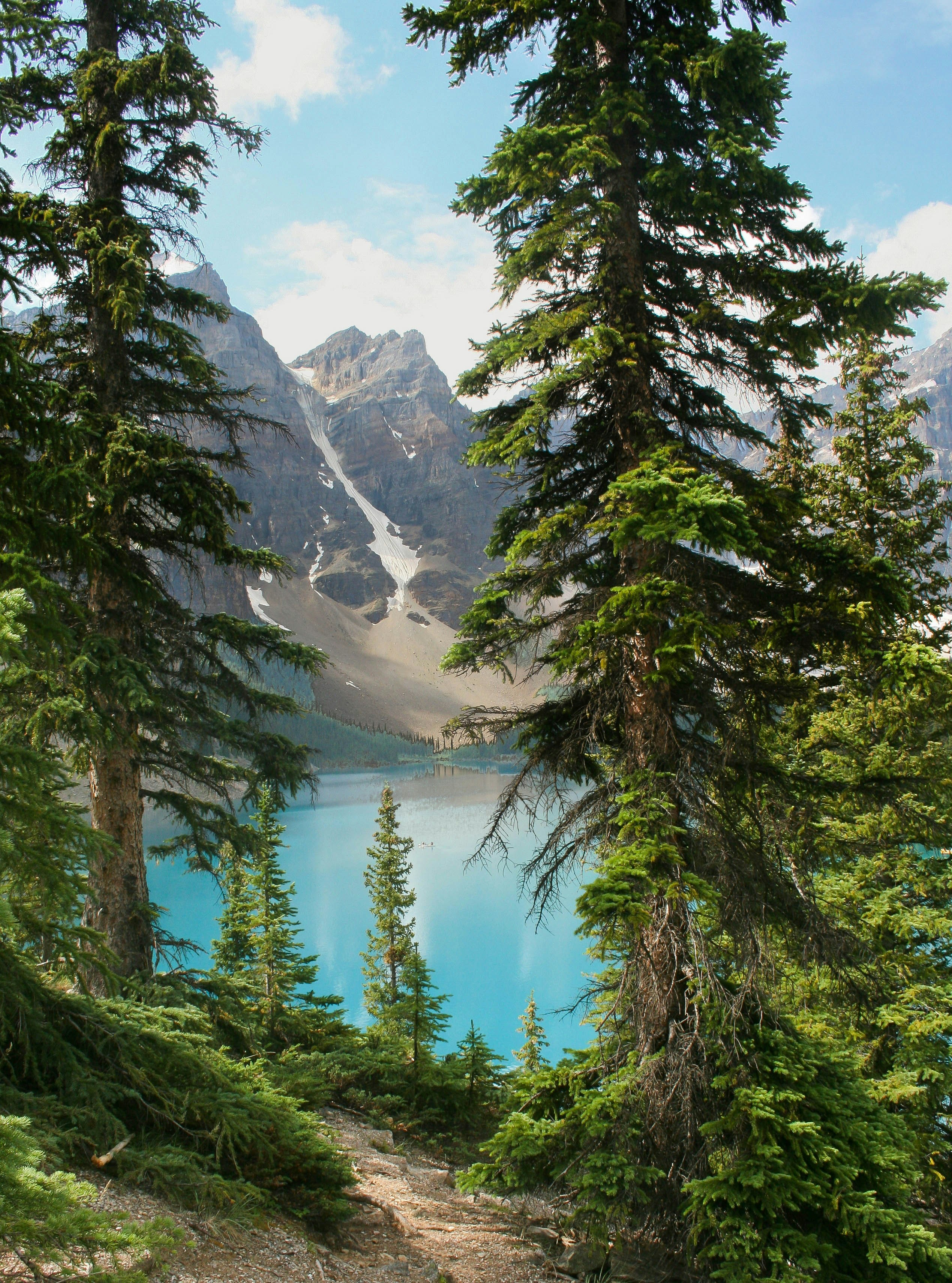 Azure Mirror: Mountain Lake Between Pines