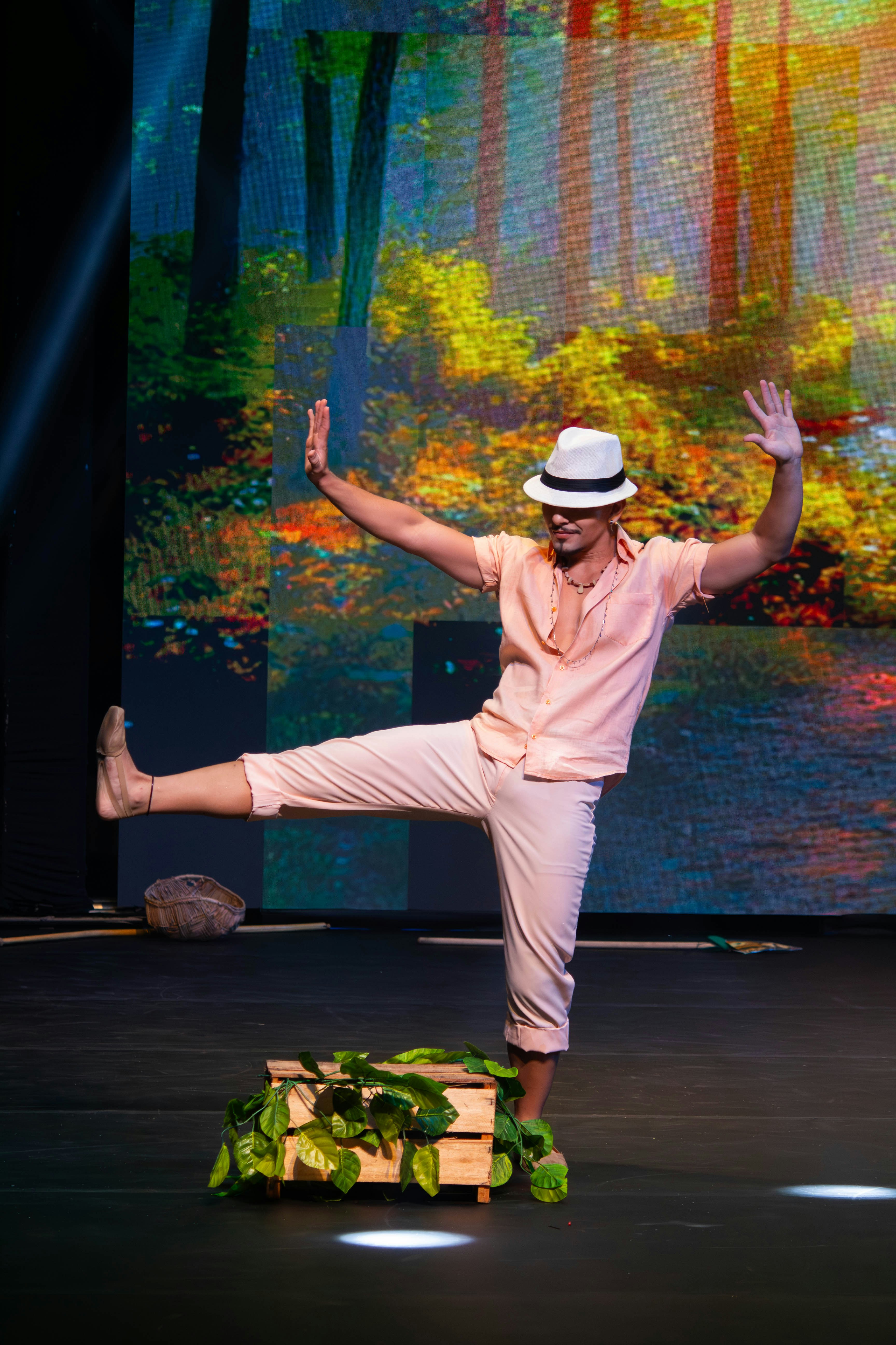 Dancer in a Tropical Spotlight