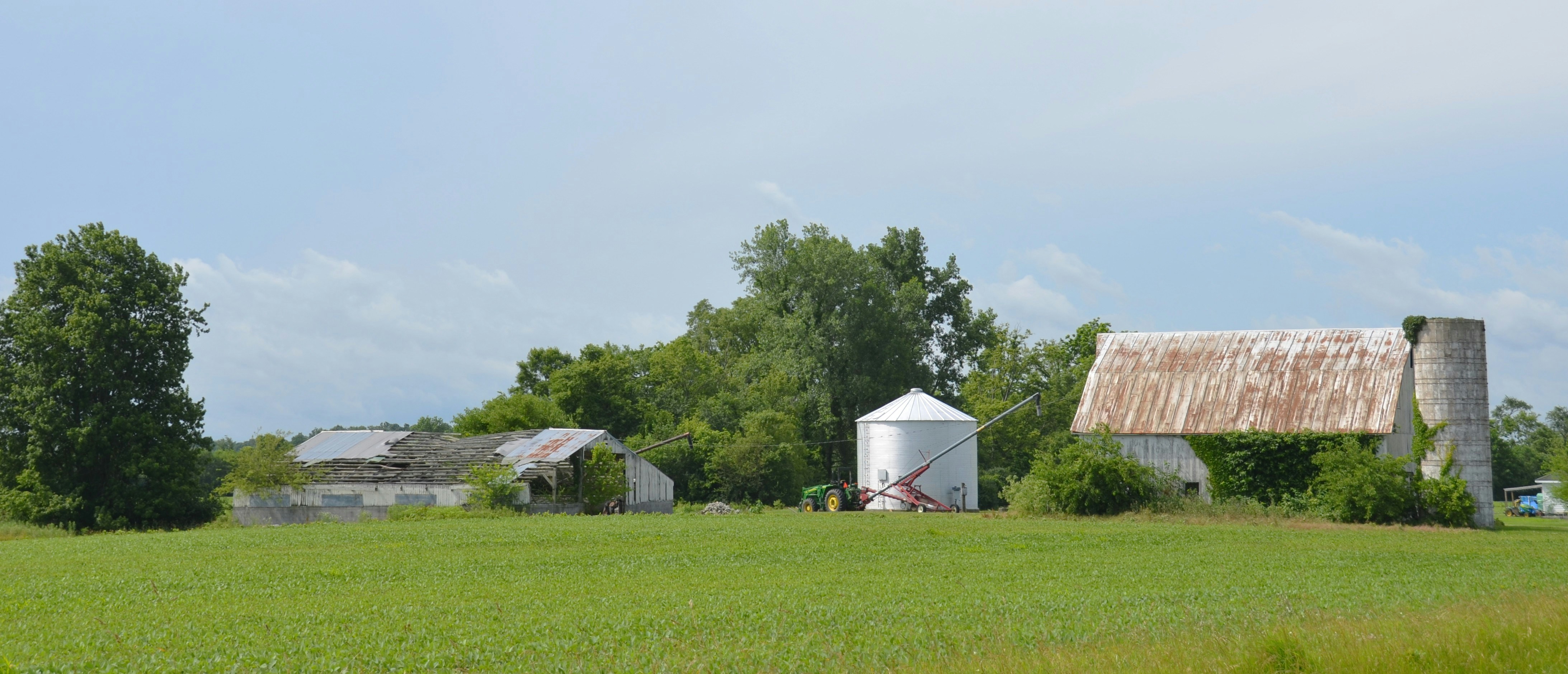 Sunlit Farmstead Across a Quiet Field