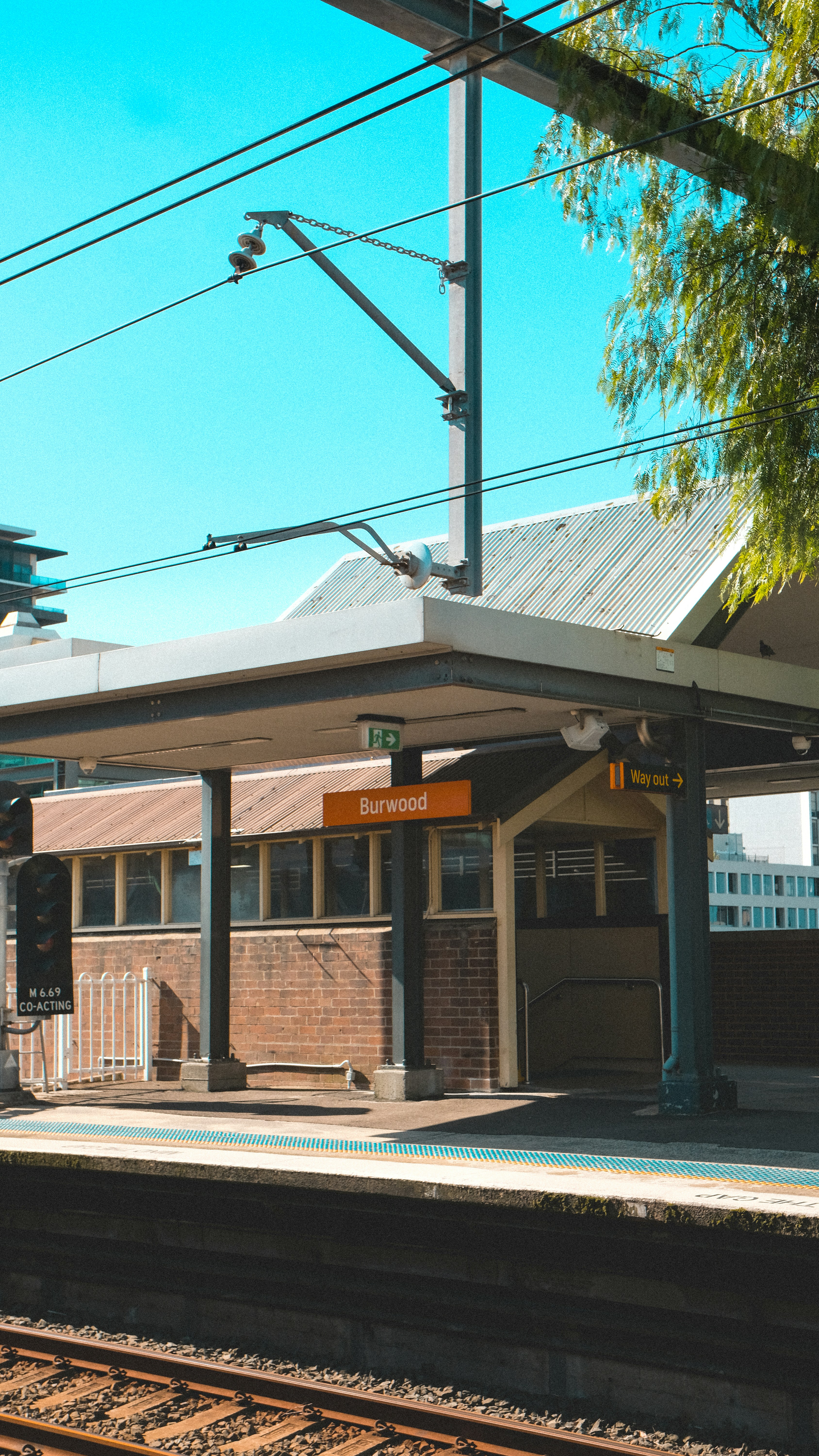 Burwood Station: Sunlit Platform Beneath Overhead Wires