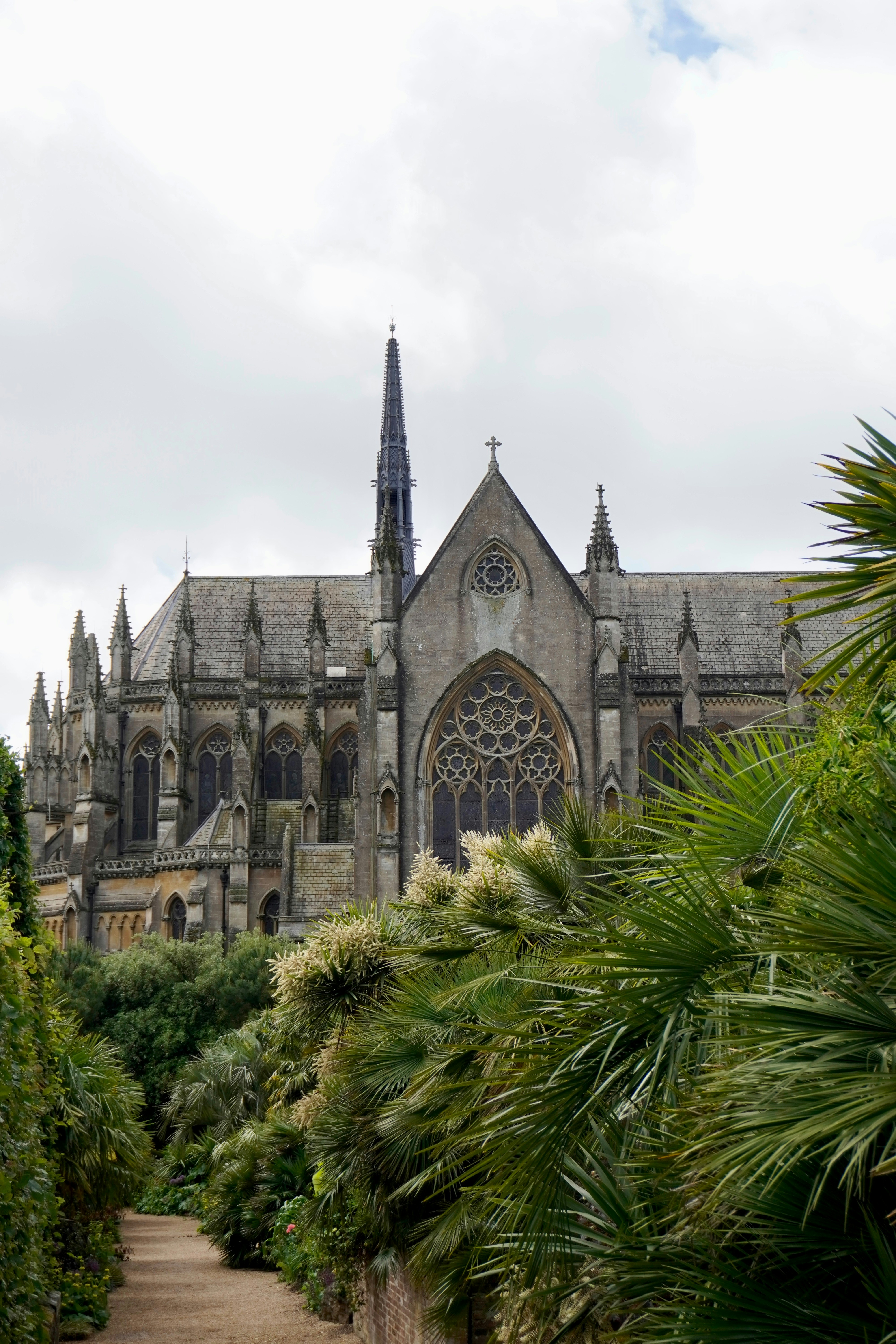 Gothic Cathedral Framed by Lush Path and Palms